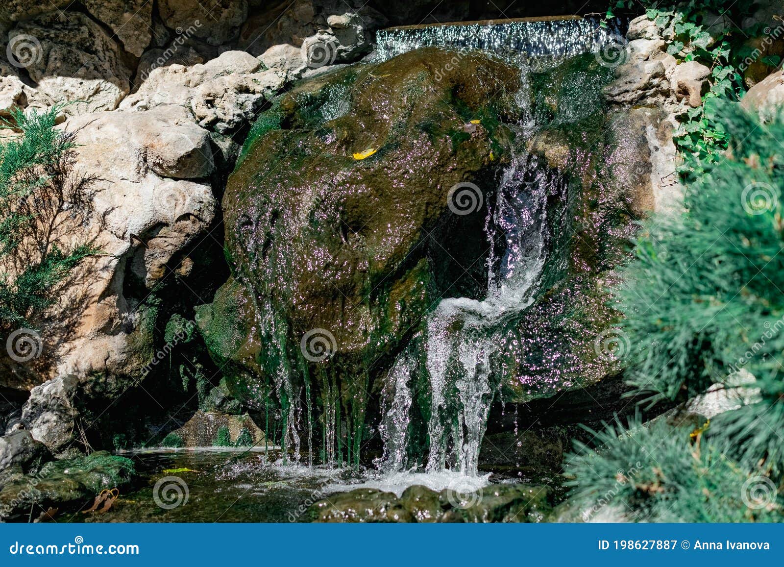 A Small Artificial Freshwater Waterfall that Flows into a Common Living ...