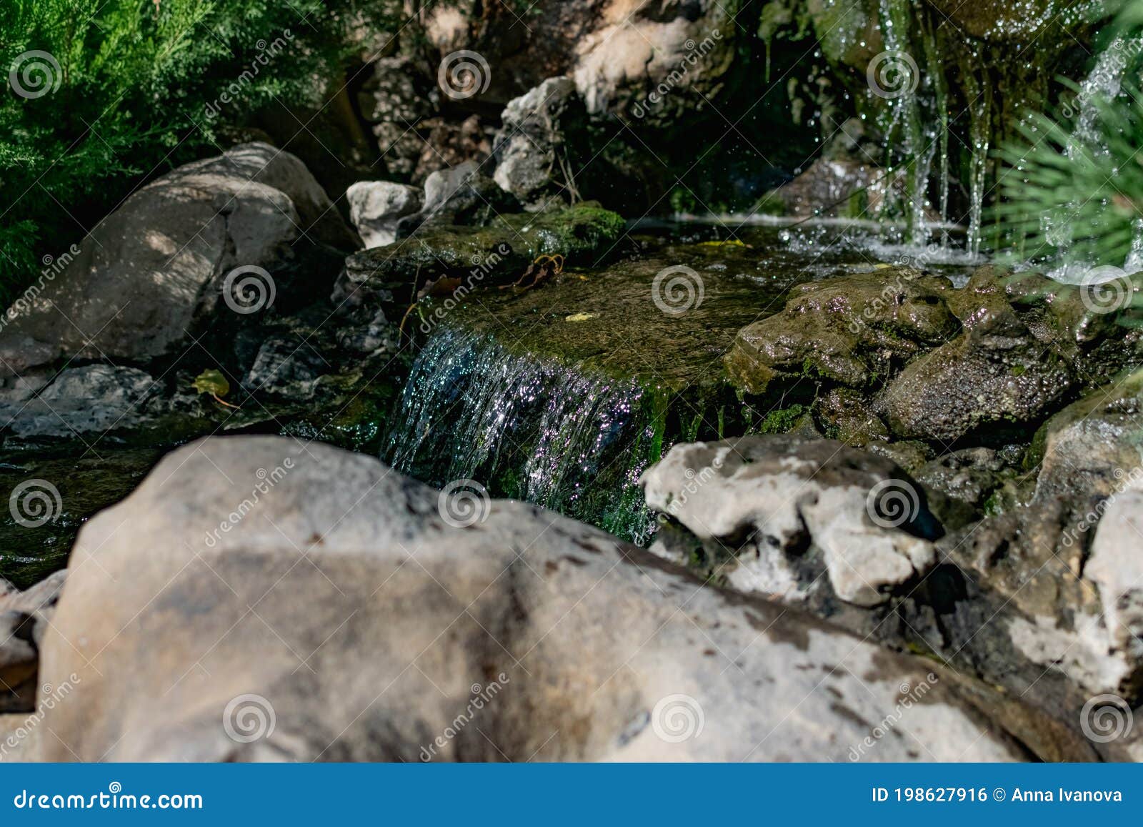 A Small Artificial Freshwater Waterfall that Flows into a Common Living ...