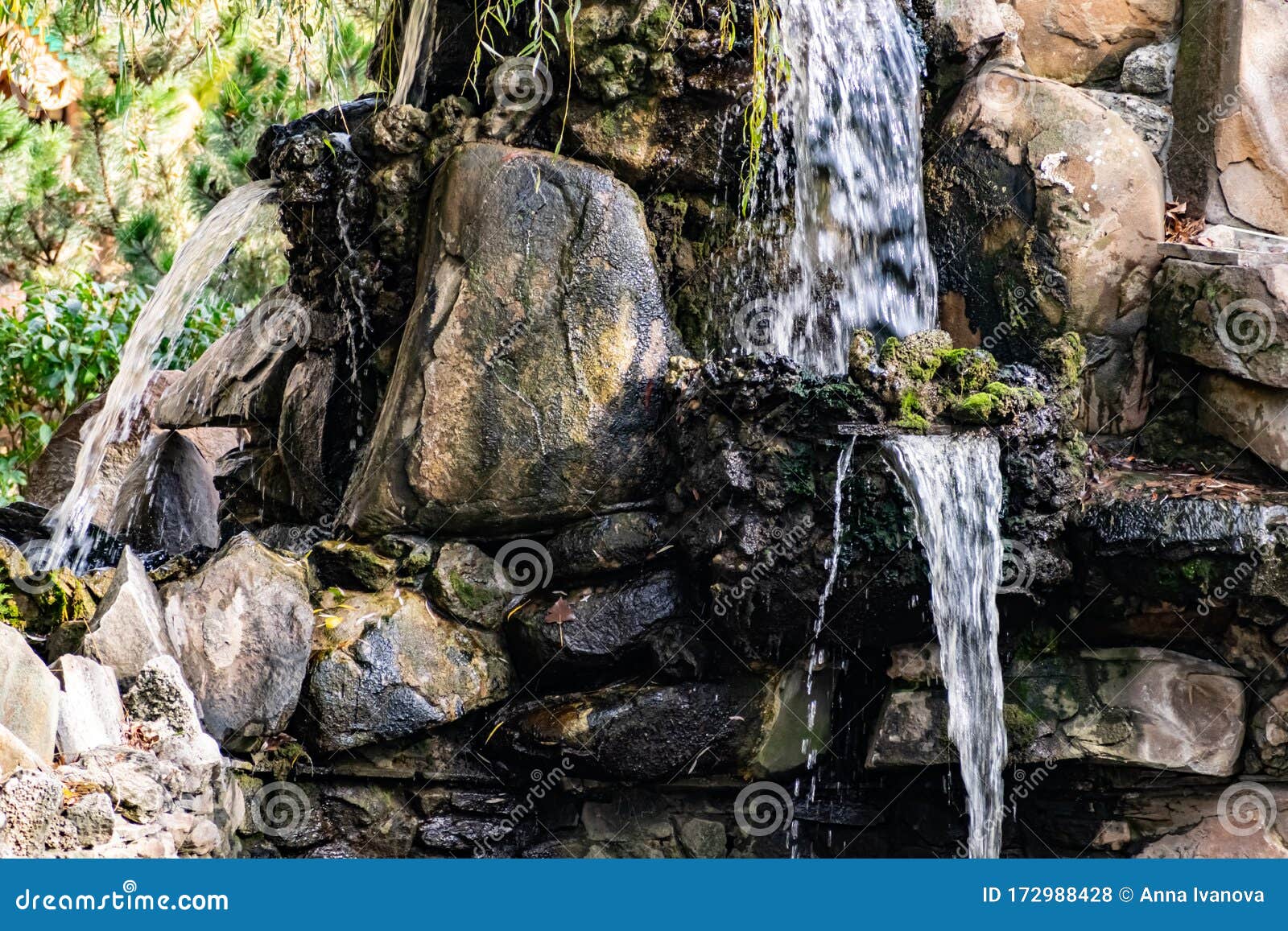 A Small Artificial Freshwater Waterfall that Flows into a Common Living ...