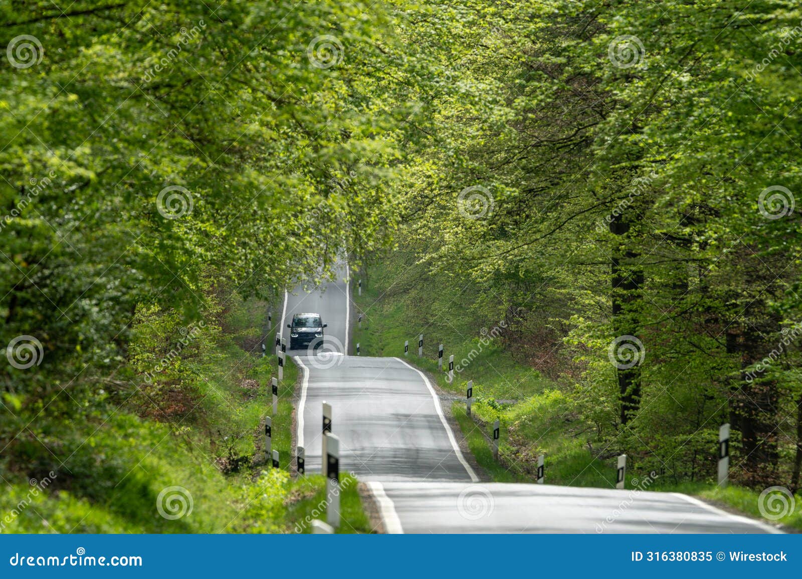 Small Asphalt Road Going Up and Down Stock Image - Image of forest ...