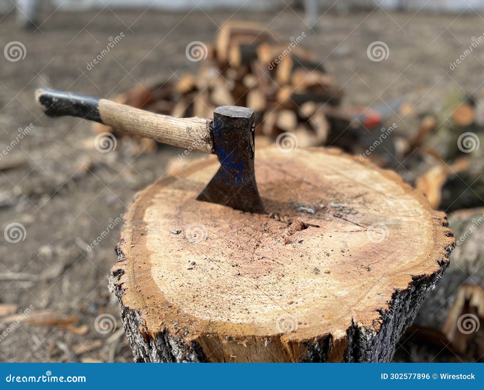 Small Ax in a Wood Log with a Pile of Lumber in the Back. Stock Photo ...
