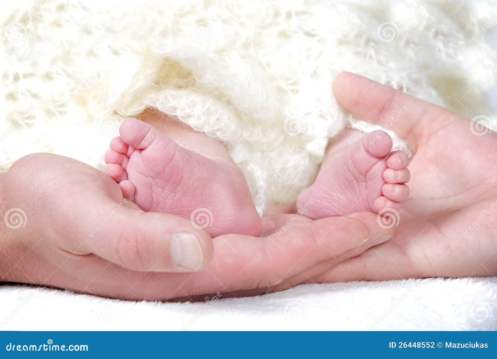 Small baby feet stock photo. Image of family, baby, feet - 26448552