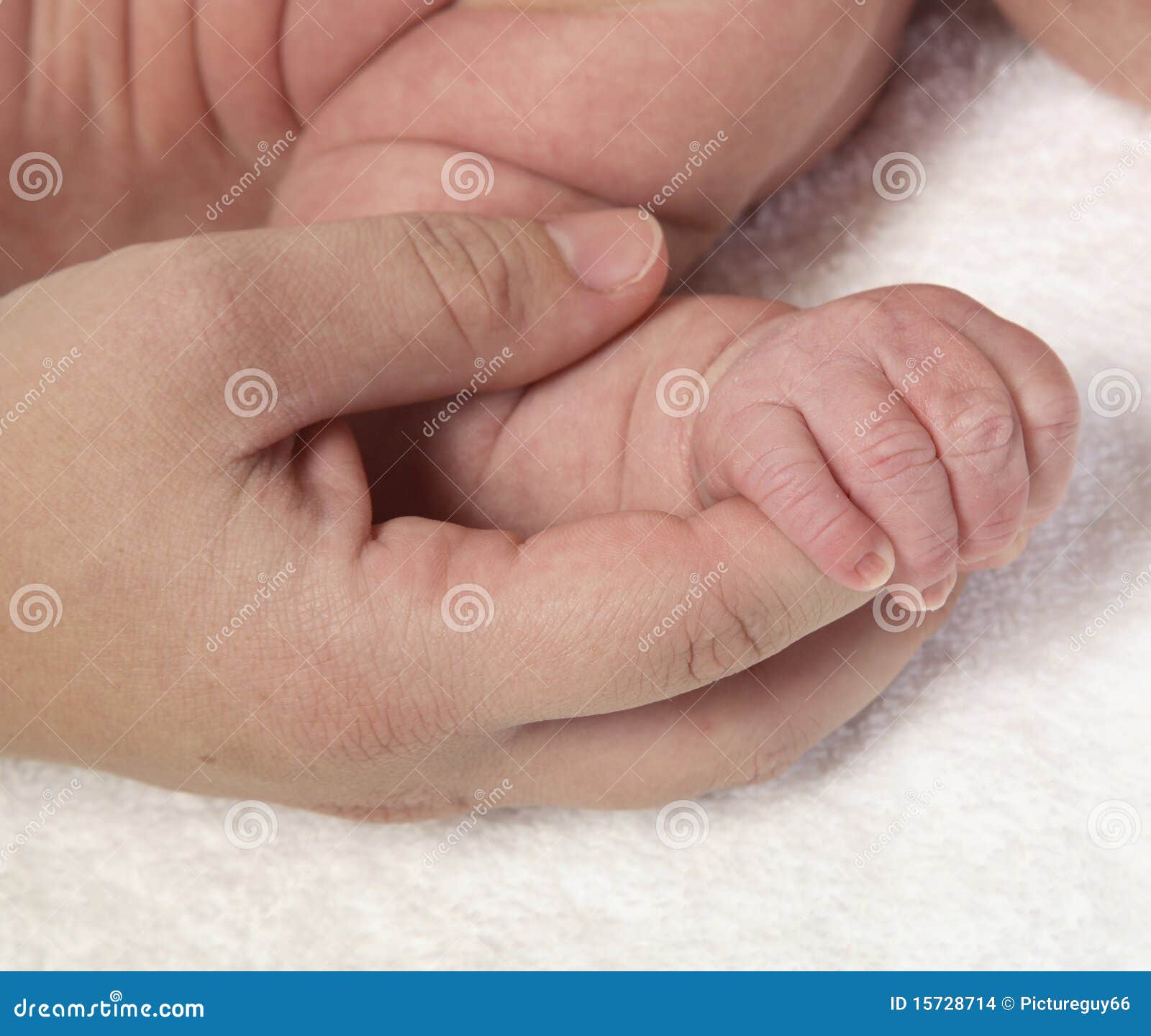 116,611 Small Baby Hand Stock Photos - Free & Royalty-Free Stock Photos ...