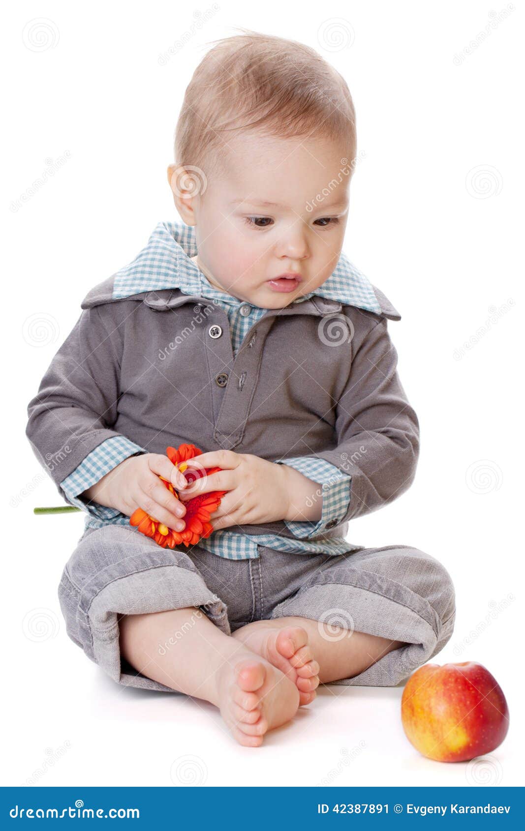 Small Baby Looking on Red Apple Stock Image - Image of isolated, happy ...