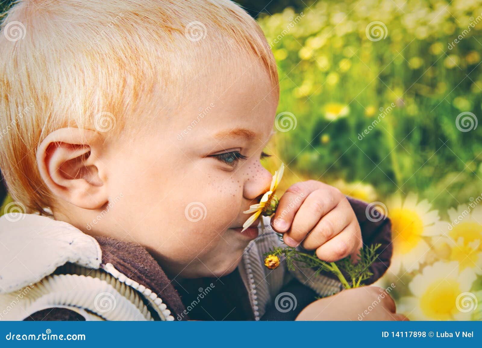 Small Baby Girl Stock Photo | CartoonDealer.com #69253122