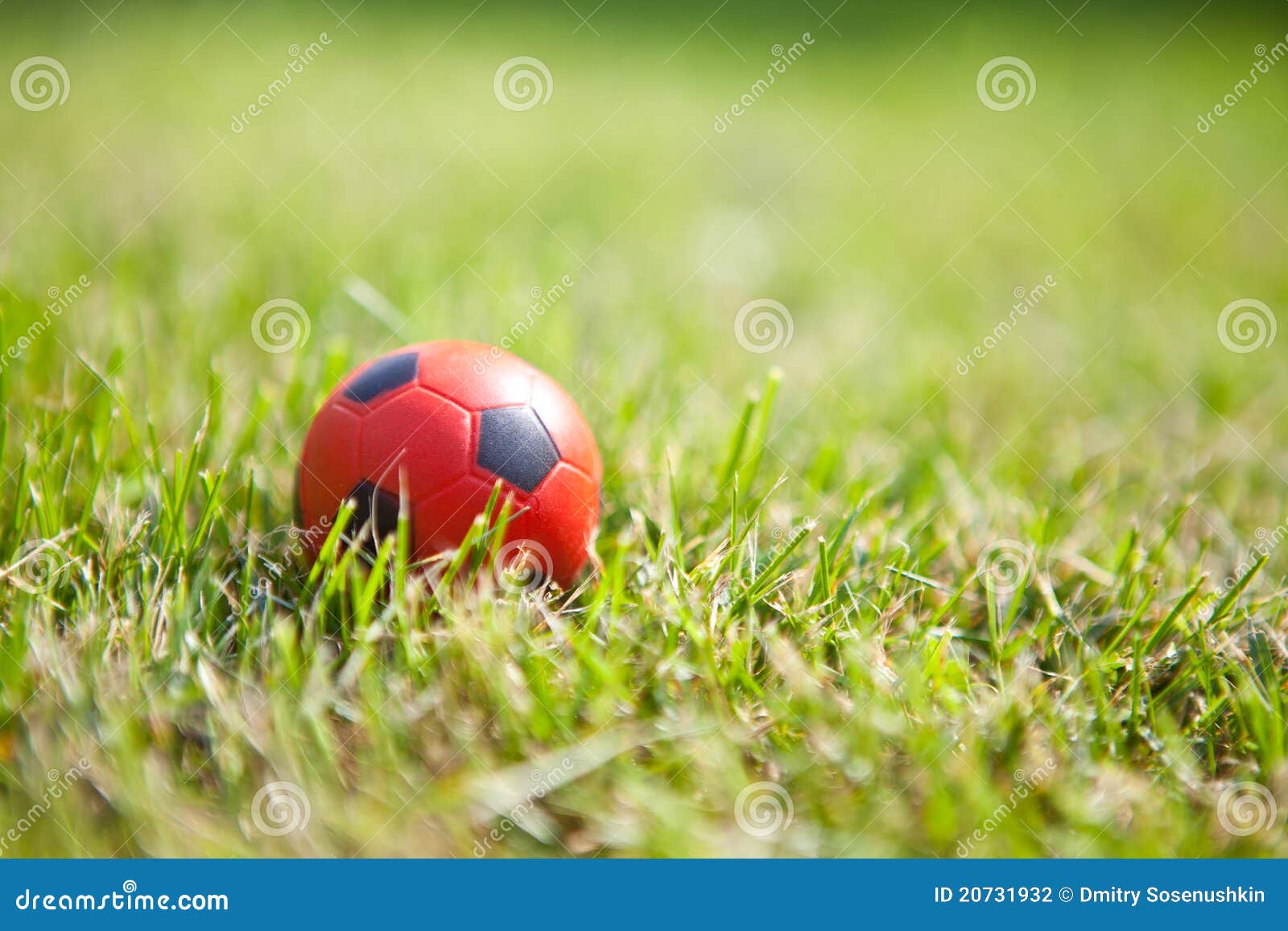 Small Ball on Grass Background Stock Photo - Image of ball, foliage ...