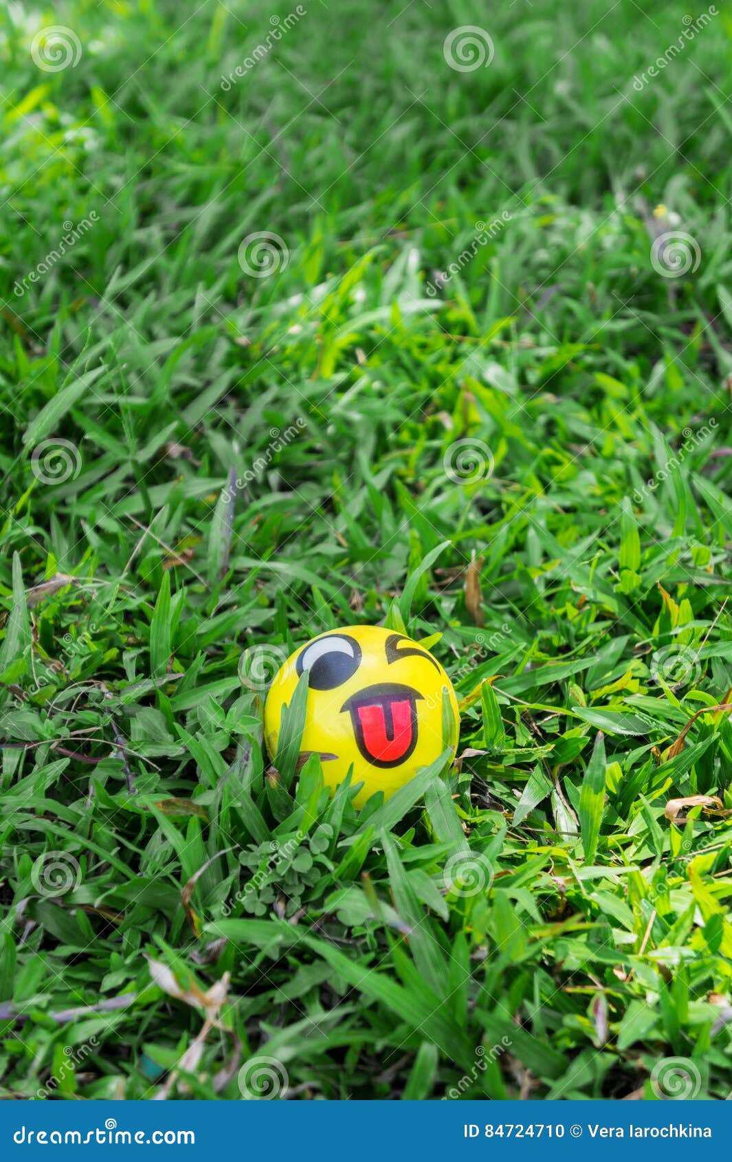 Small ball on green grass stock photo. Image of hobbies - 84724710