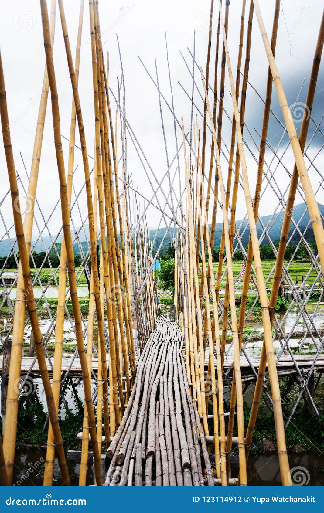 Small Bamboo Bridge To Rice Field Stock Photo - Image of landscape ...