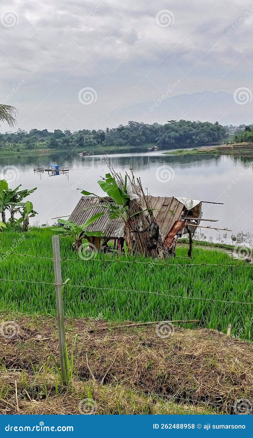 Bamboo Houses With Dry Reeds Roof. Simple Shelters With Stone Retaining ...