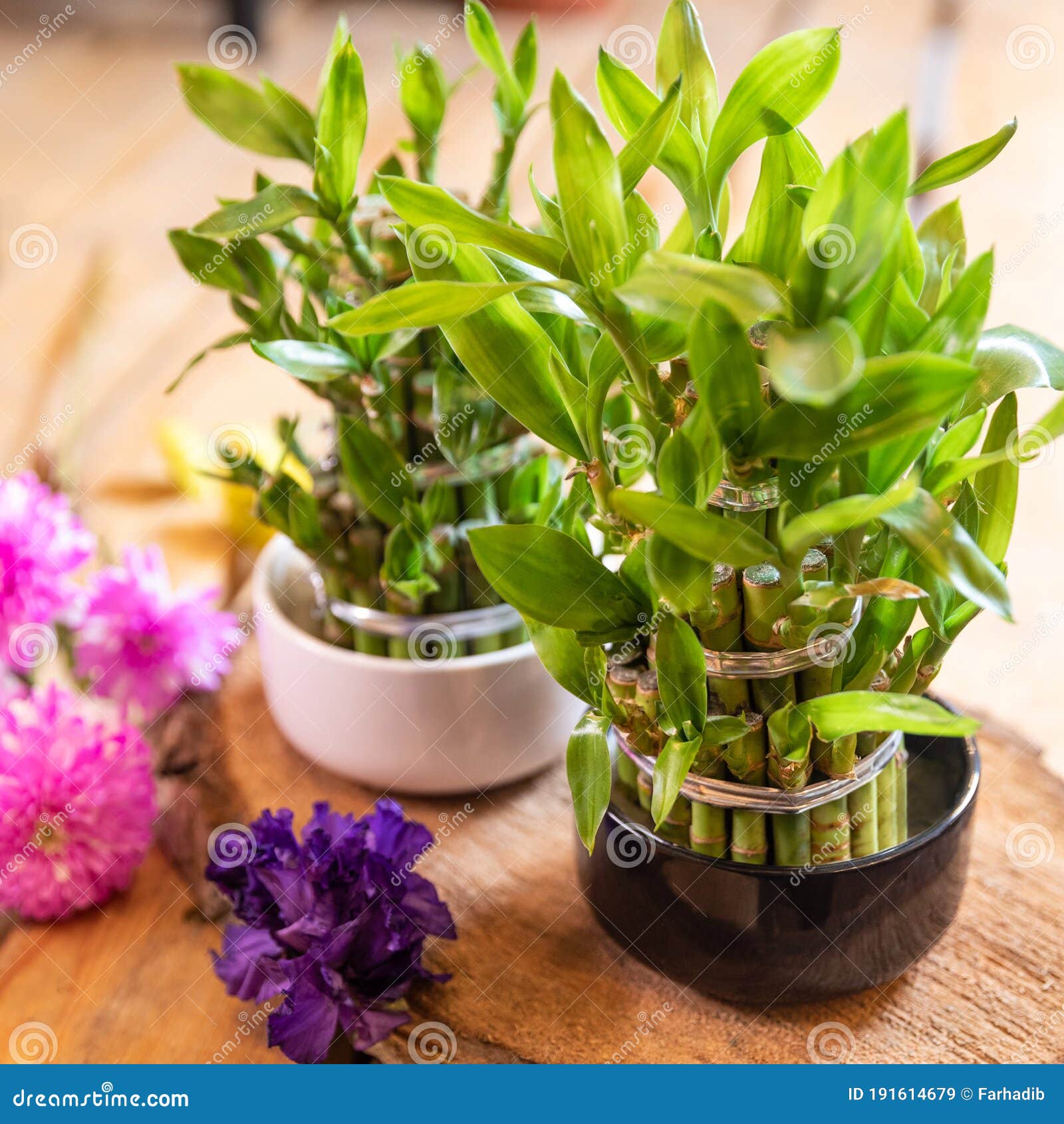 A Small Bamboo Birdhouse On The Tree Royalty-Free Stock Image ...