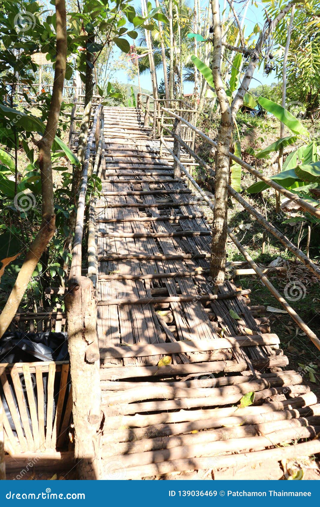 Small Bamboo Walkway in the Midst of Nature Stock Image - Image of ...