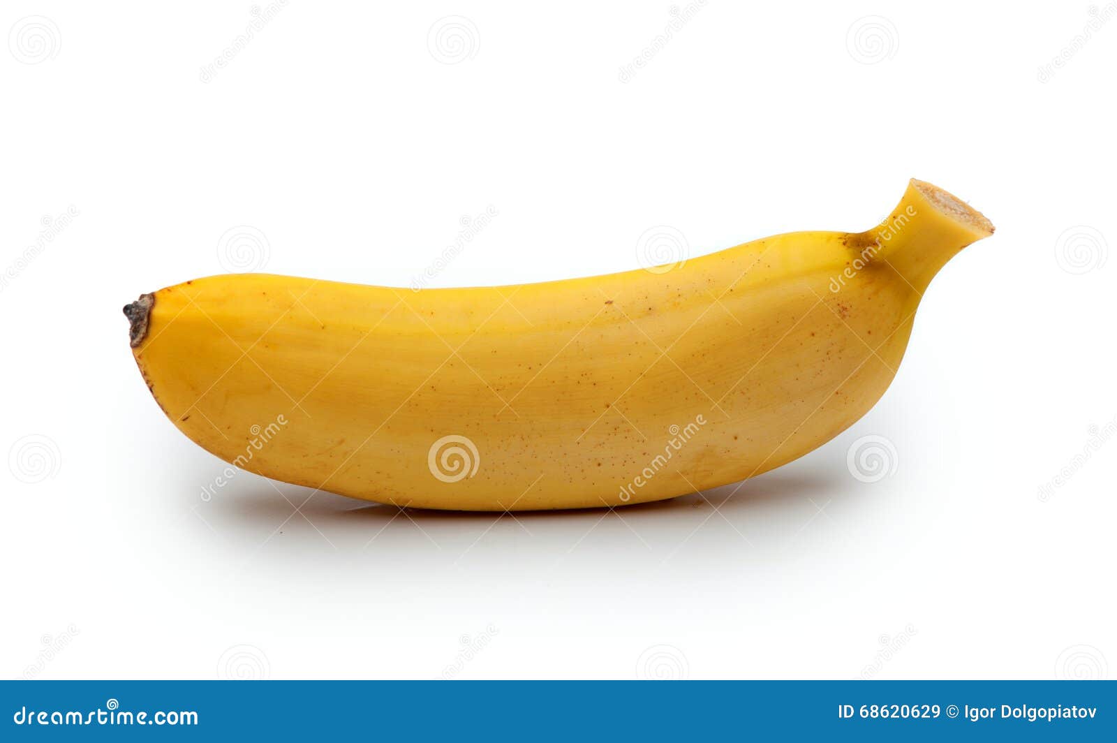 Small Banana Isolated on White Stock Image - Image of studio ...