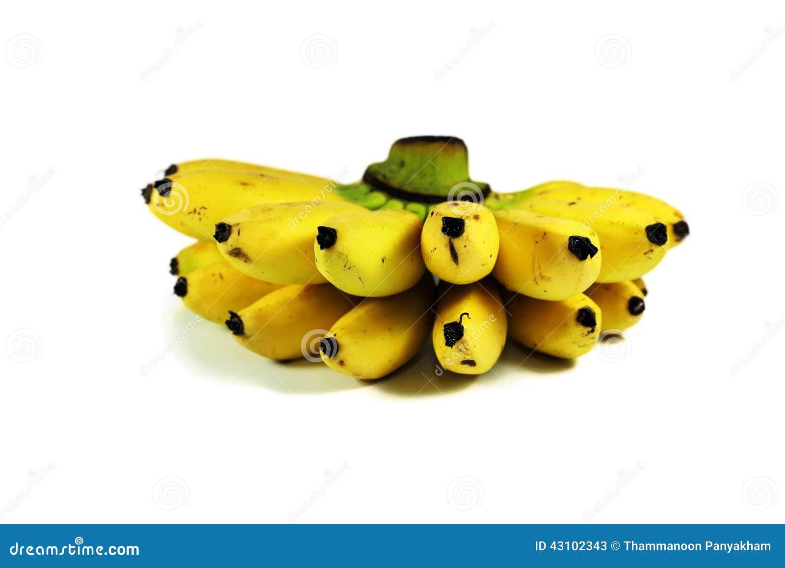 Small bananas 3 stock image. Image of fruit, ingredient - 43102343
