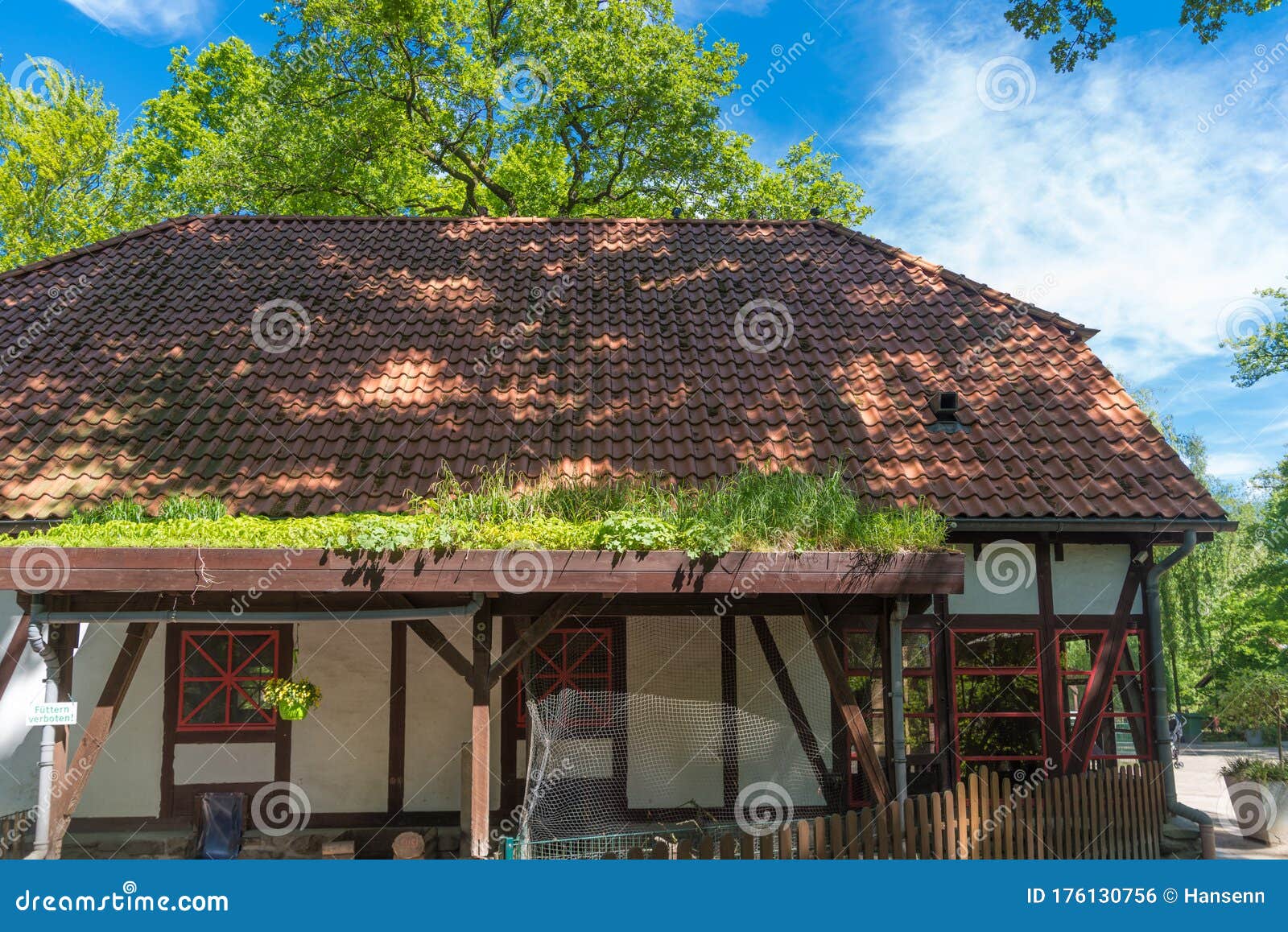 Small barn stock photo. Image of shelter, green, door - 176130756