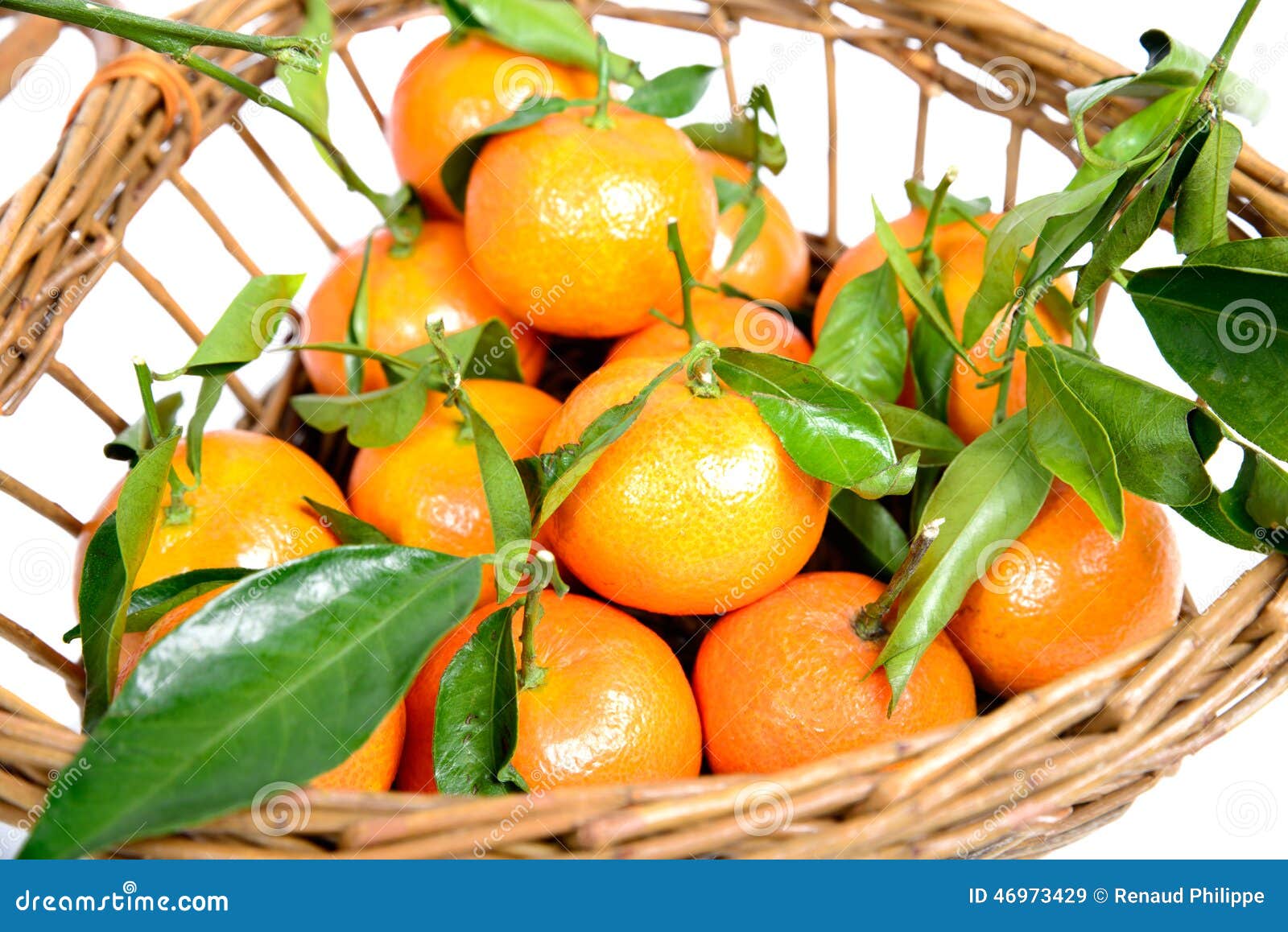 Small Basket Full of Mandarin Oranges Stock Image - Image of basket ...