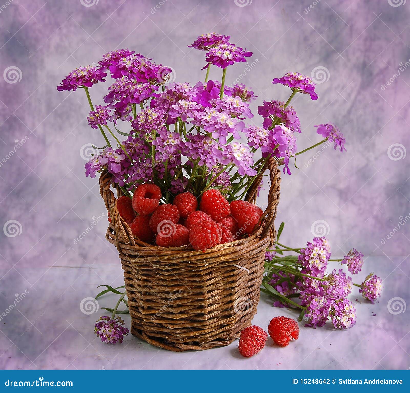 4,222 Red Raspberry Flowers Stock Photos - Free & Royalty-Free Stock ...