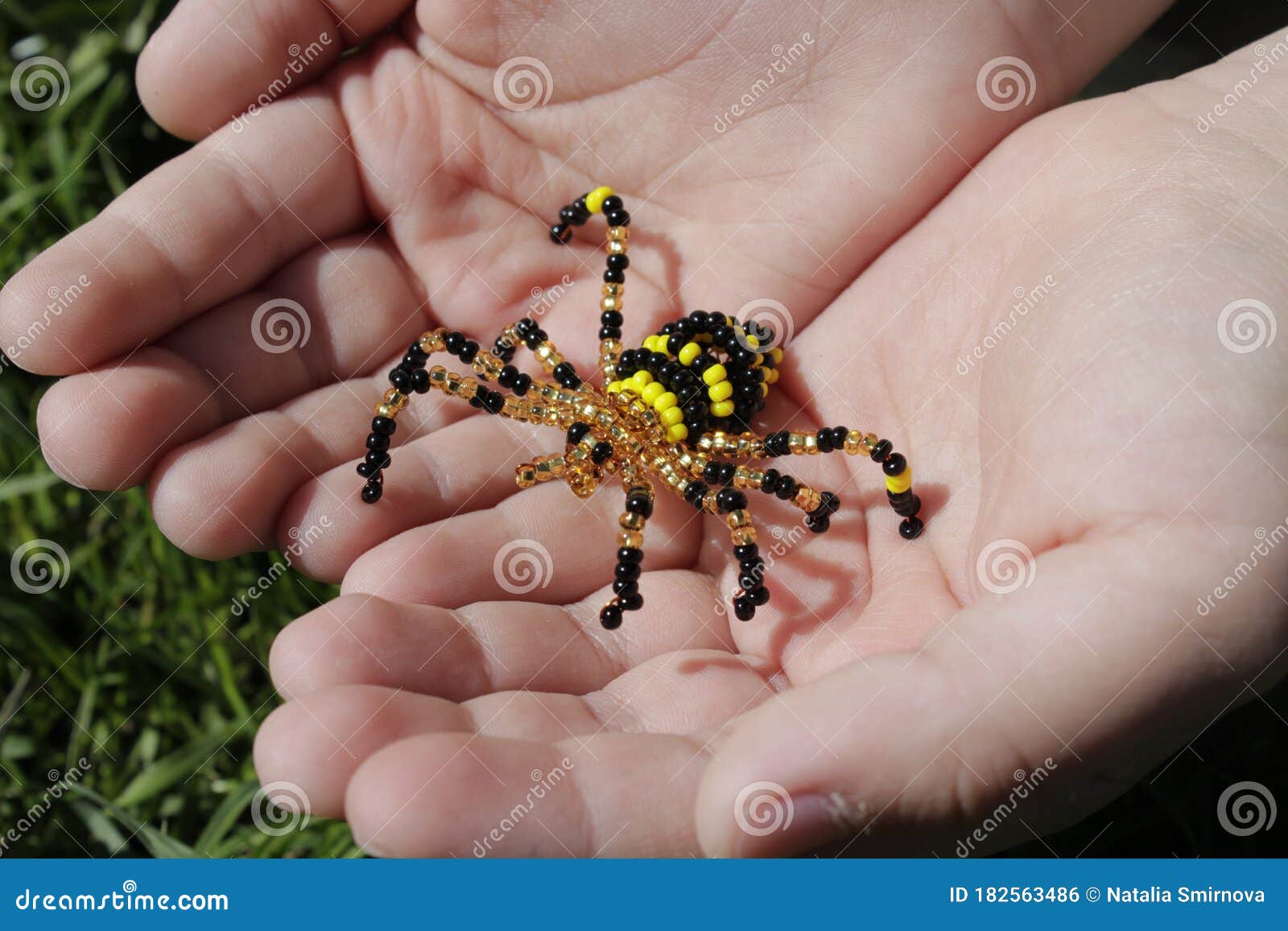 Small Bead Spider in the Hands. Stock Photo - Image of hands, green ...