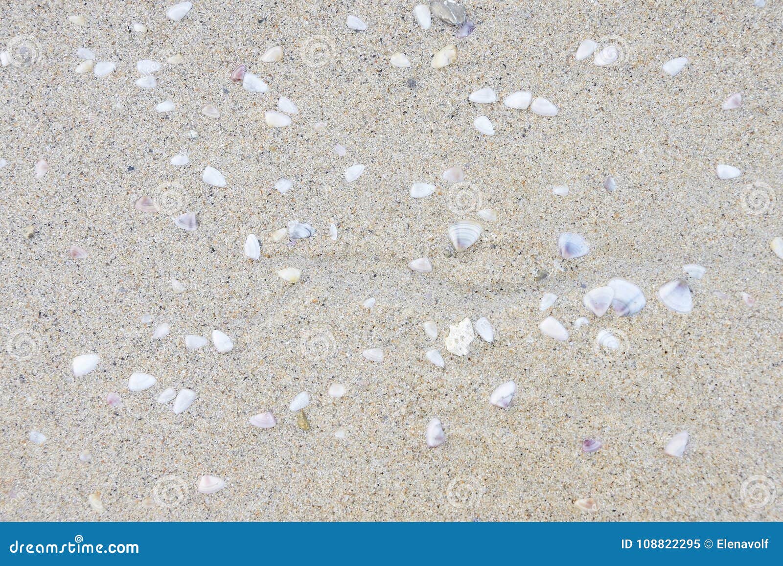 Small Seashells. Bright Sand. Beach Stock Image - Image of design ...