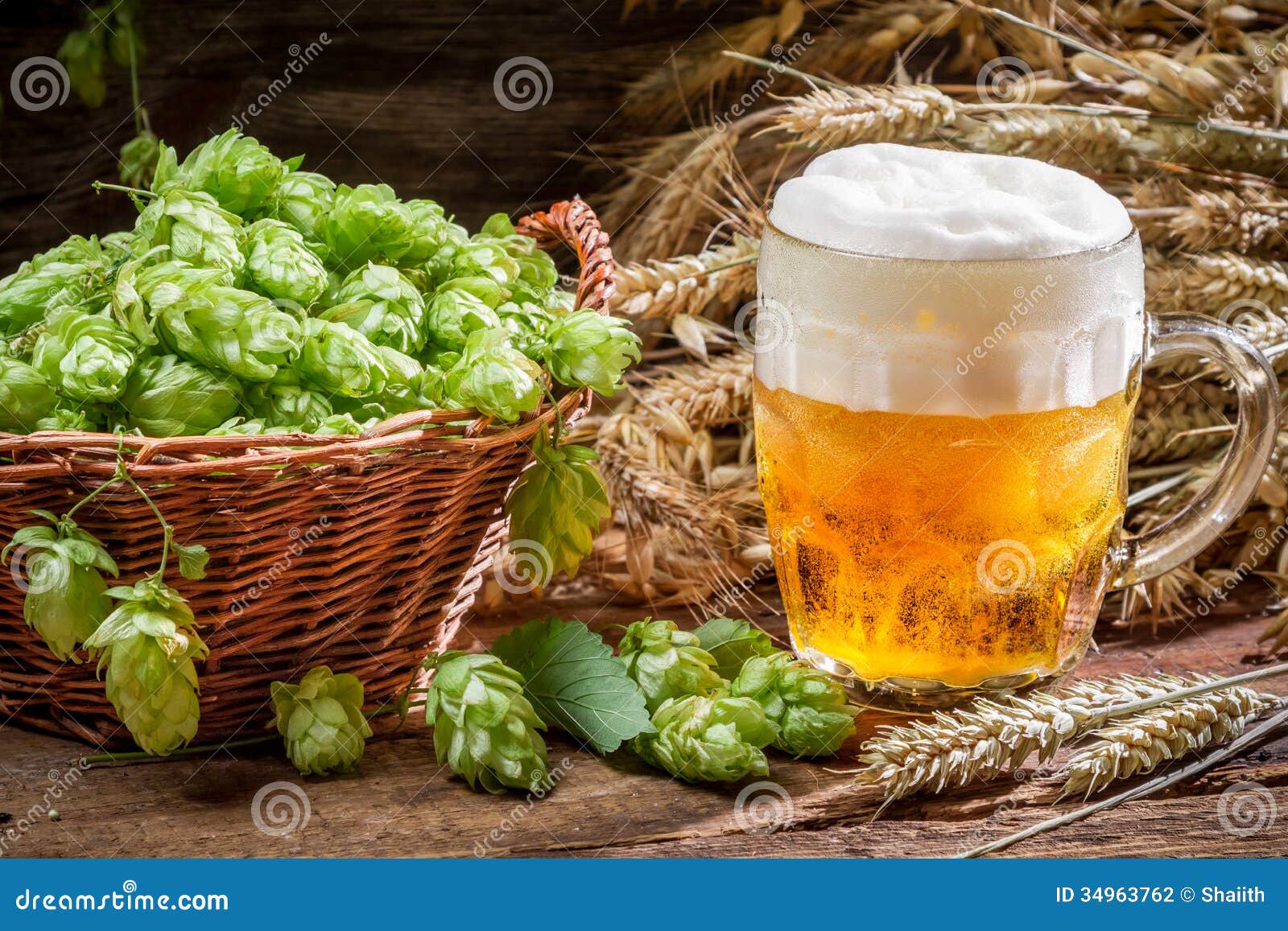 Small Beer with a Large Foam Surrounded by Hops Stock Photo - Image of ...