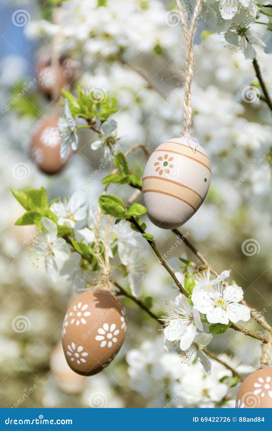 Small Beige Easter Eggs Hanging on the Branches of a Blooming Cherry ...