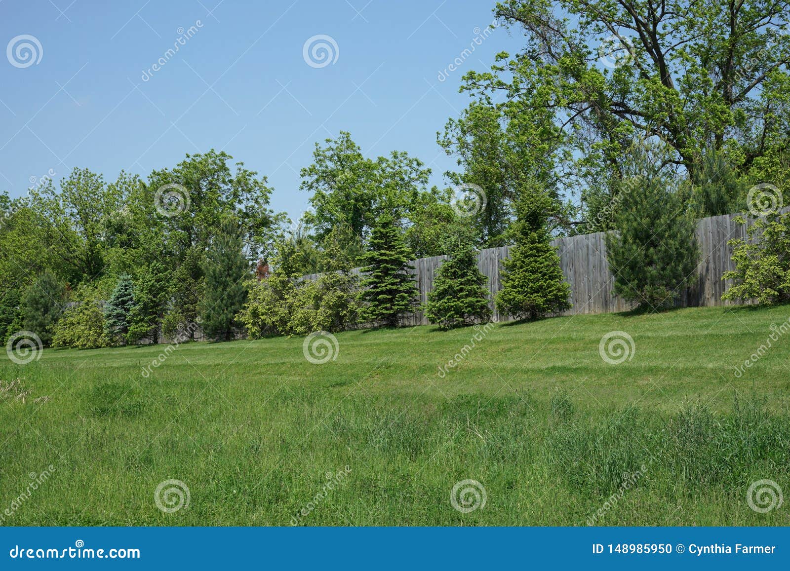 Small Berm with Evergreen Trees Stock Photo - Image of blue, berm ...
