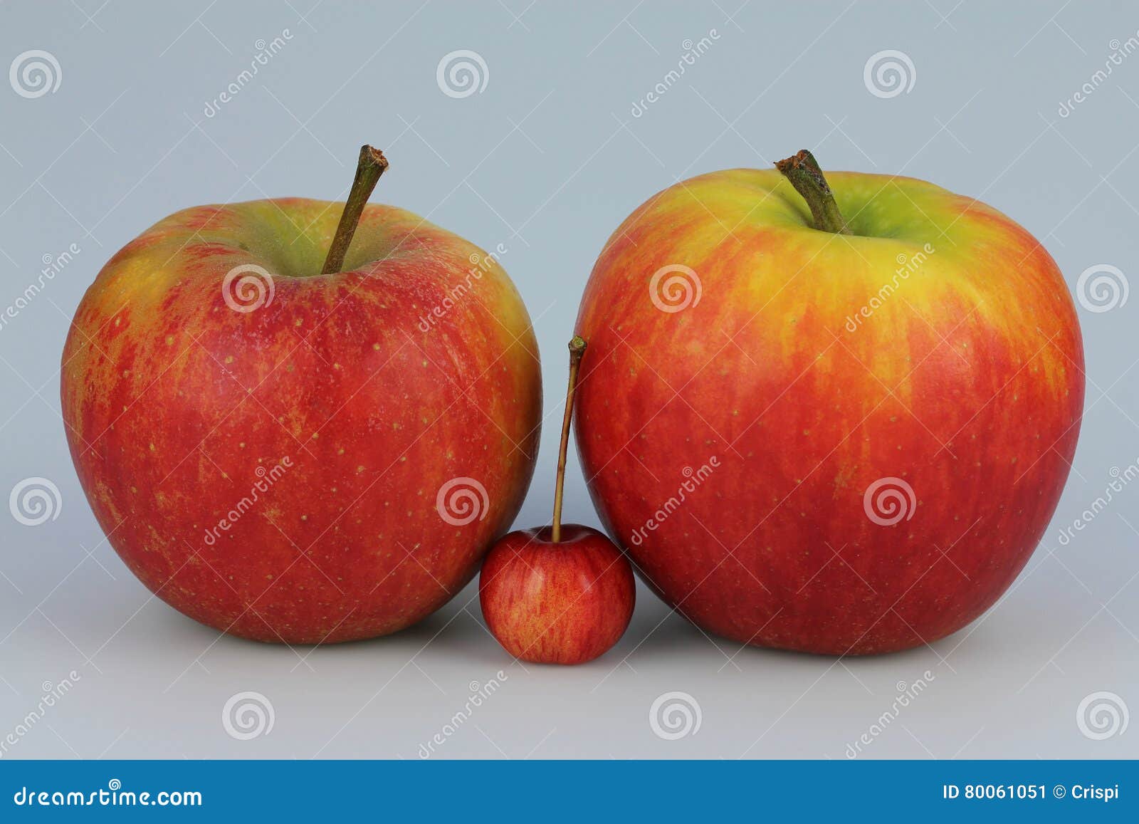Small and big apples stock image. Image of small, family - 80061051