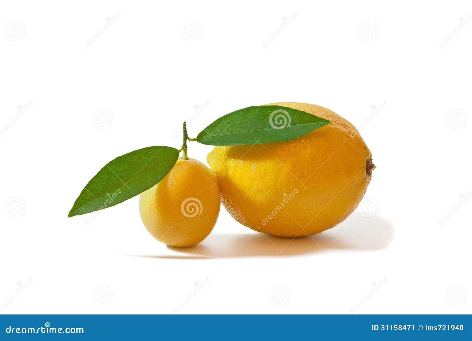 Small and Big Lemons on White Stock Image - Image of vitamins, gourmet ...