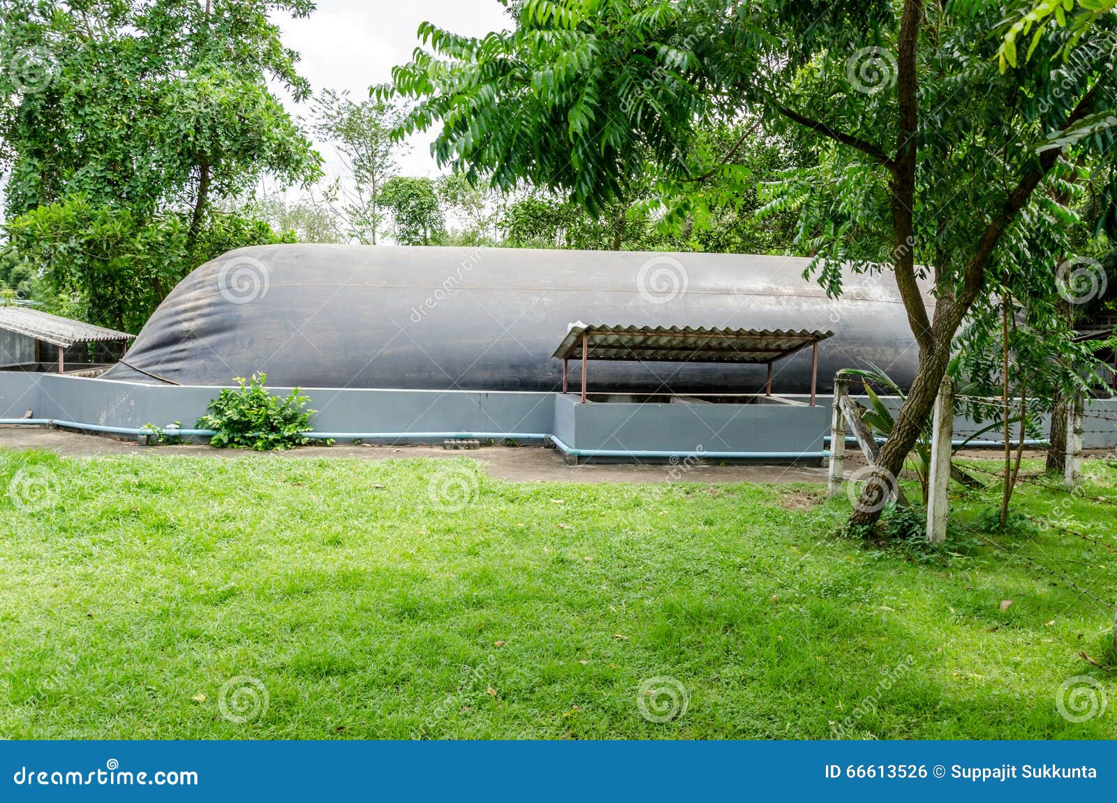Small Biogas Plant in Thailand Stock Photo - Image of biogas, digester ...