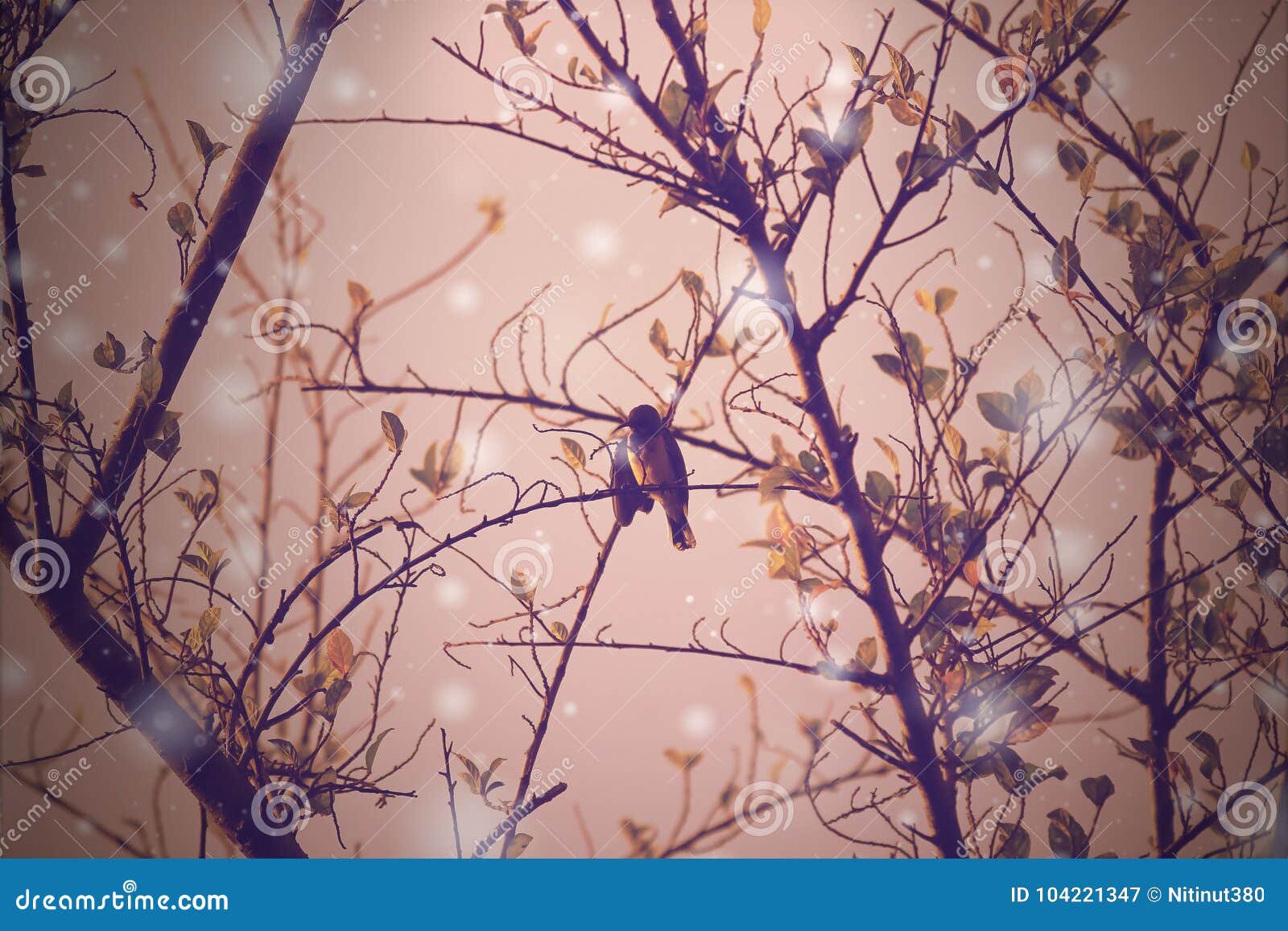 Small Bird on Big Tree in Retro Style Stock Image - Image of bird ...