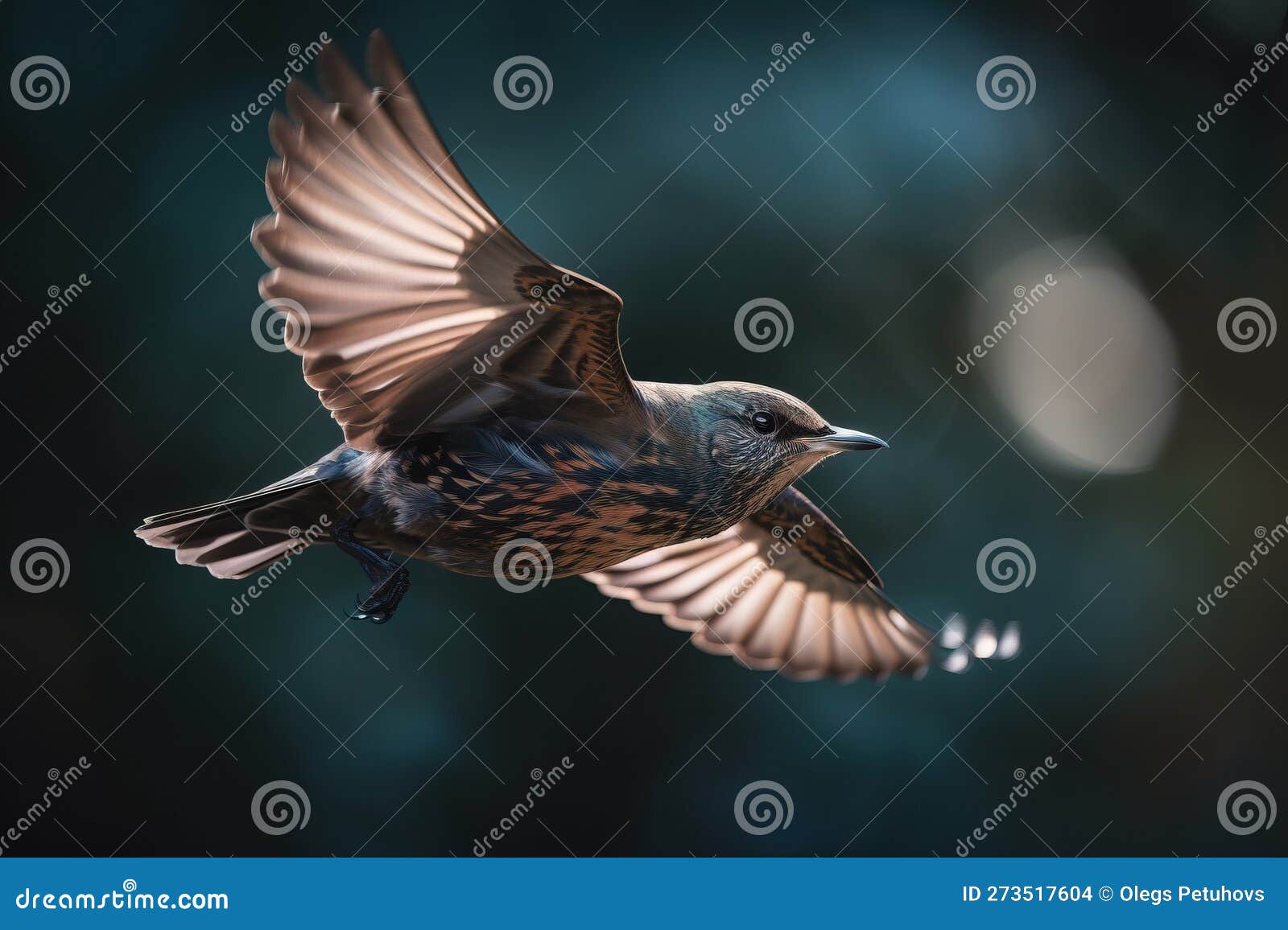 A Small Bird Flying through the Air with Its Wings Spread Stock ...