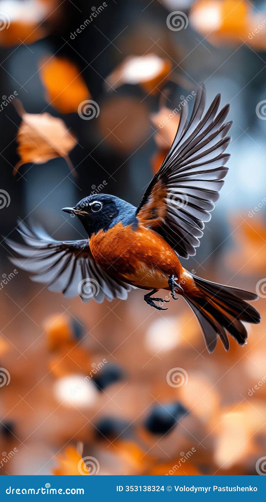 A Small Bird Flying through the Air with Its Wings Spread Stock Photo ...