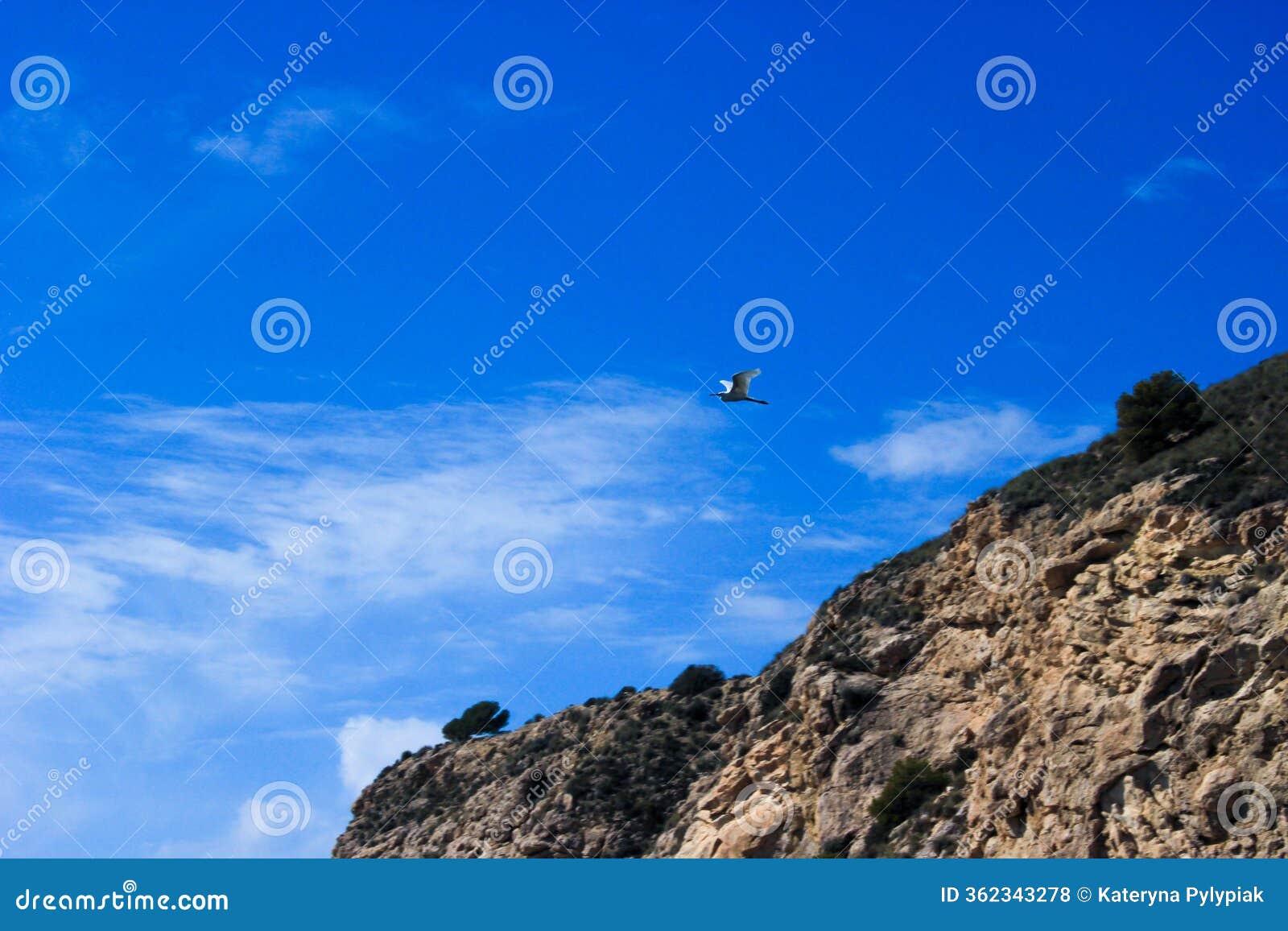 Small Bird Flying in the Blue Sky Stock Photo - Image of freedom, beak ...