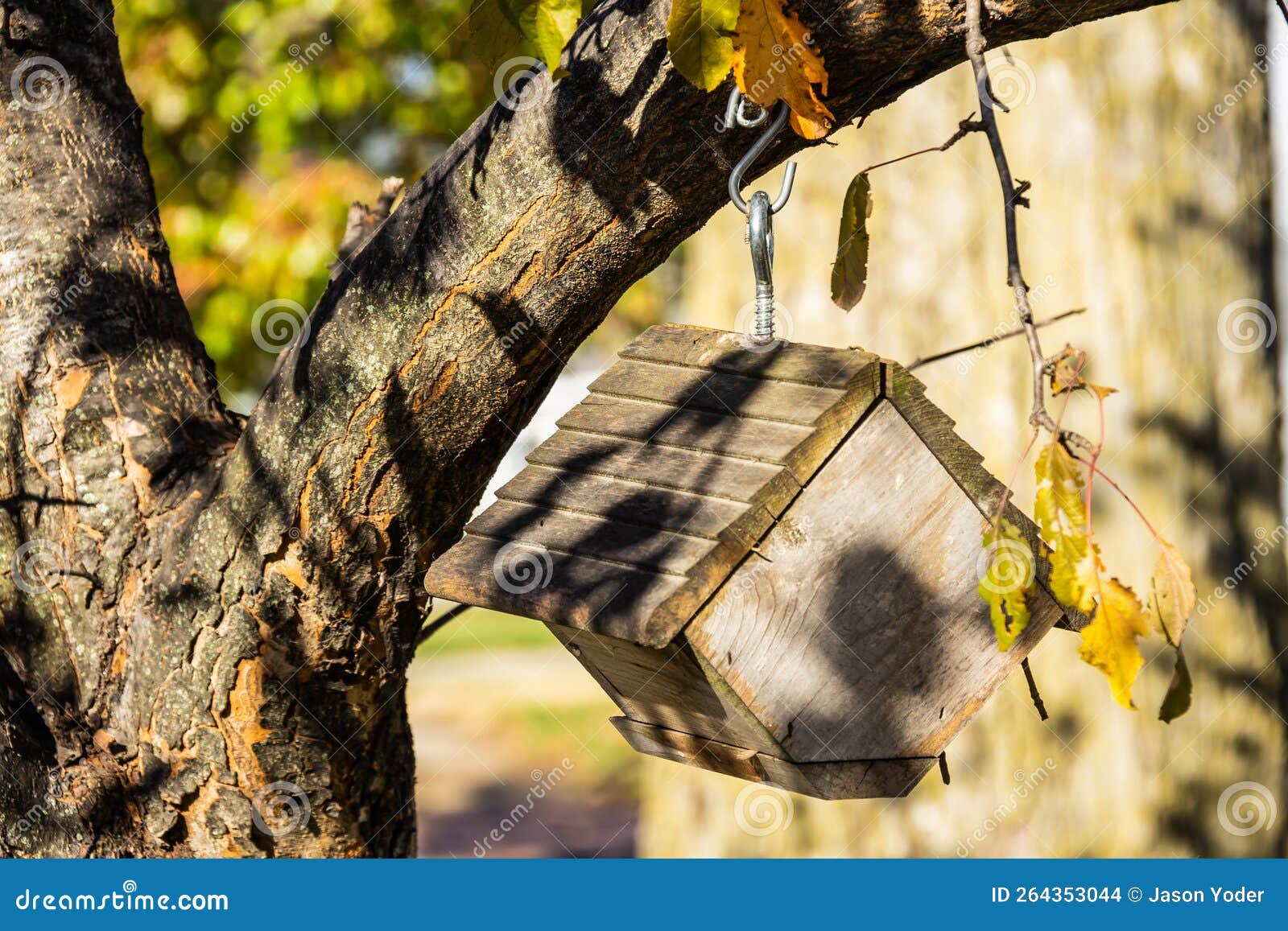 A Small Birdhouse Hanging on a Tree in Late Fall Stock Photo - Image of ...