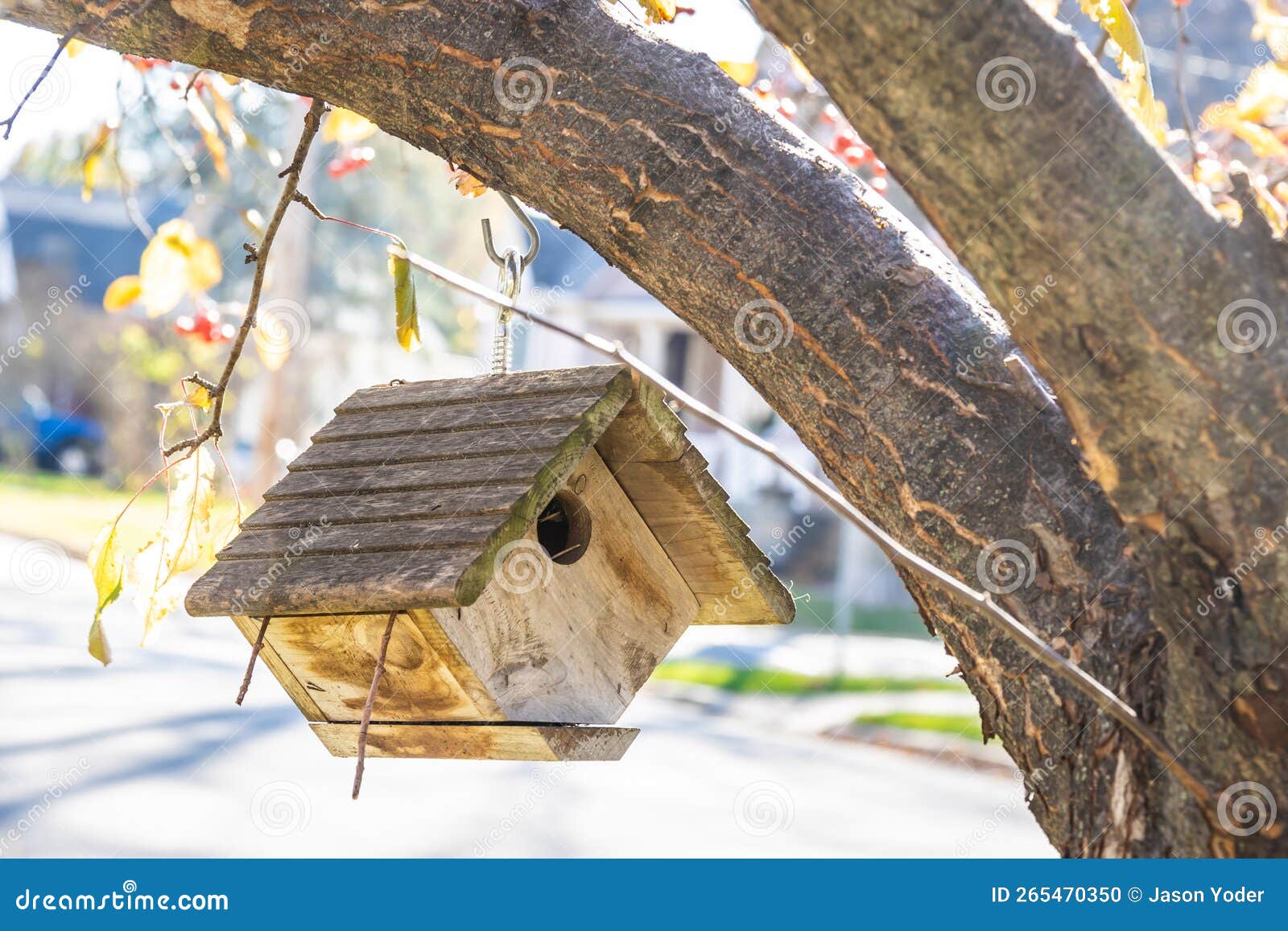 A Small Birdhouse Hanging on a Tree in Late Fall Stock Photo - Image of ...