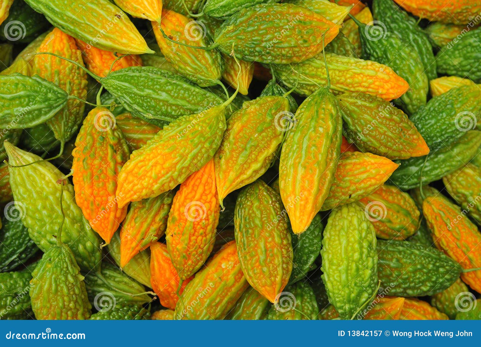 Small Bitter Gourd in the Market Stock Image - Image of vegetable ...