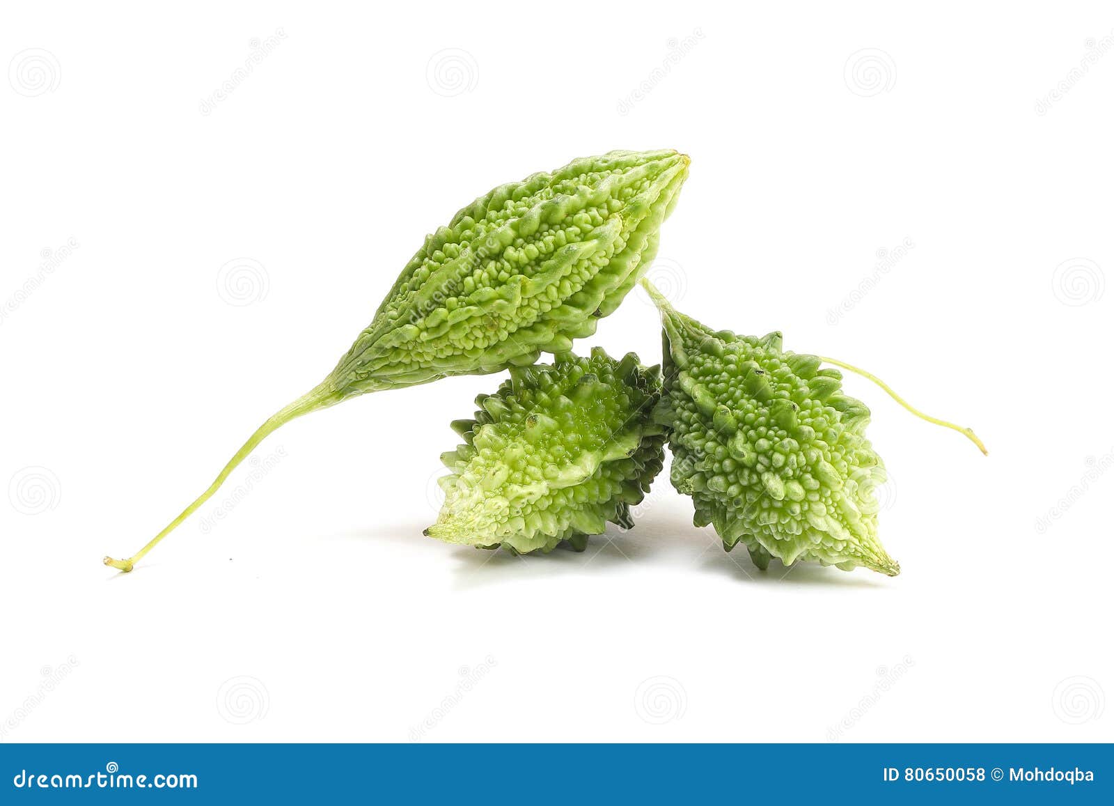 Small bitter gourd melon stock photo. Image of organic - 80650058