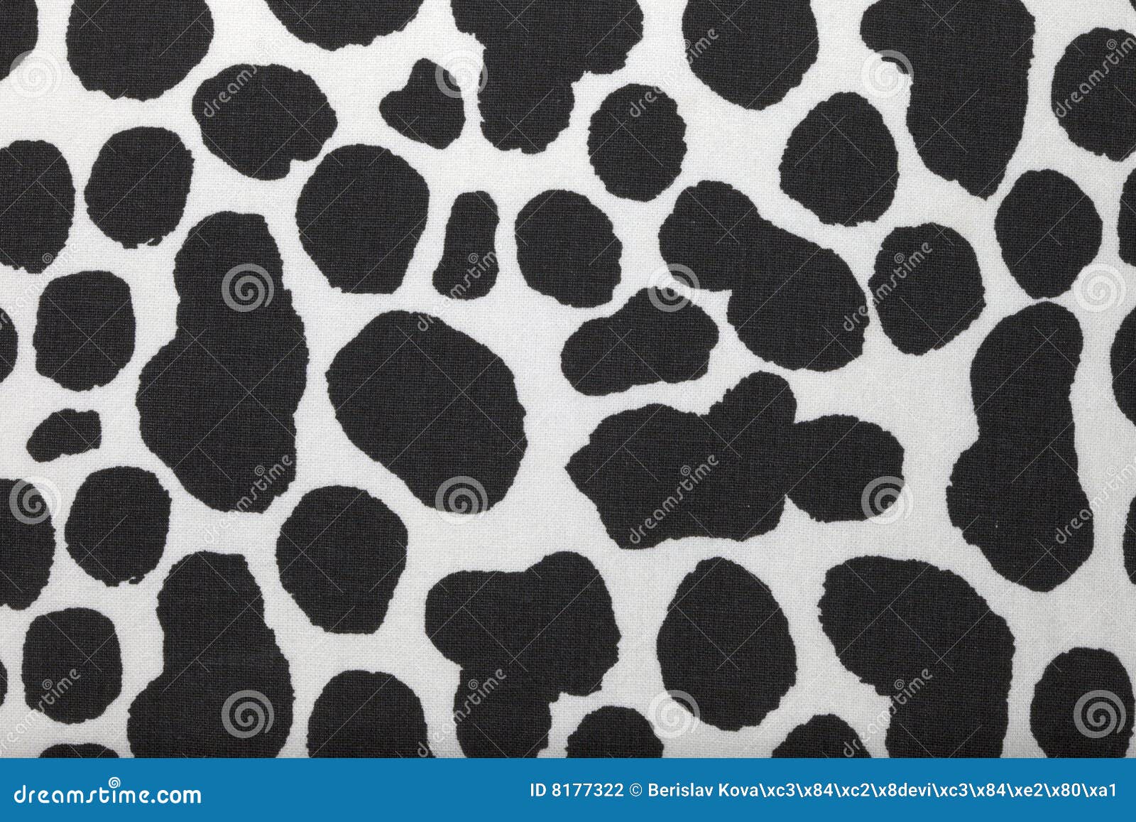 Small Black Dot Cow Textile Pattern Stock Photo - Image of black, close ...