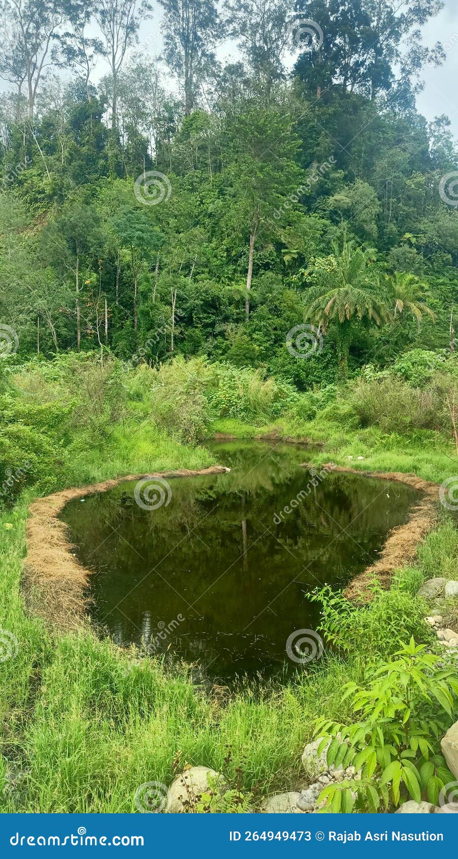 Small Black Lake Left Over from Community Mining Stock Image - Image of ...