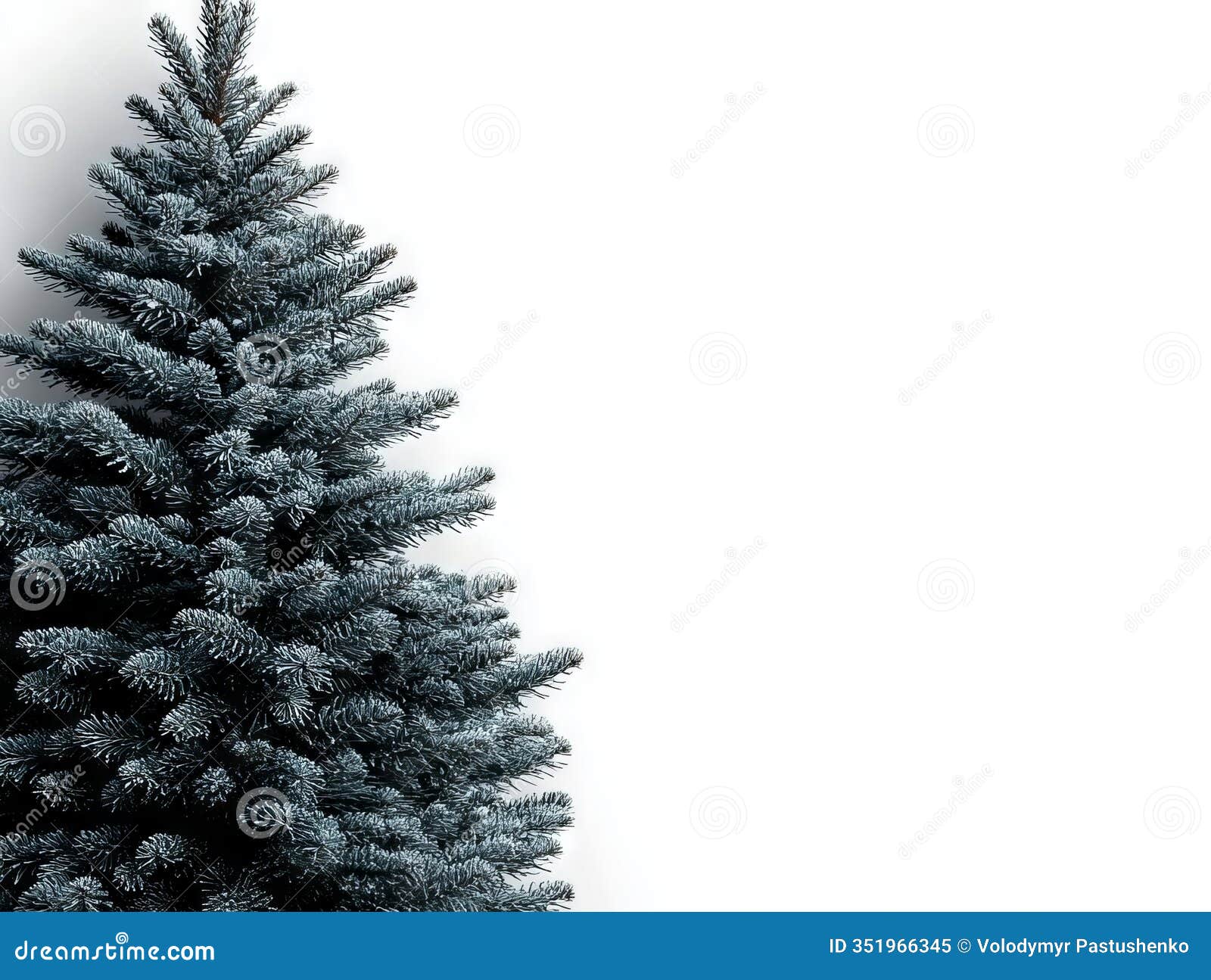 A Small Blue Christmas Tree on a White Background Stock Image - Image ...