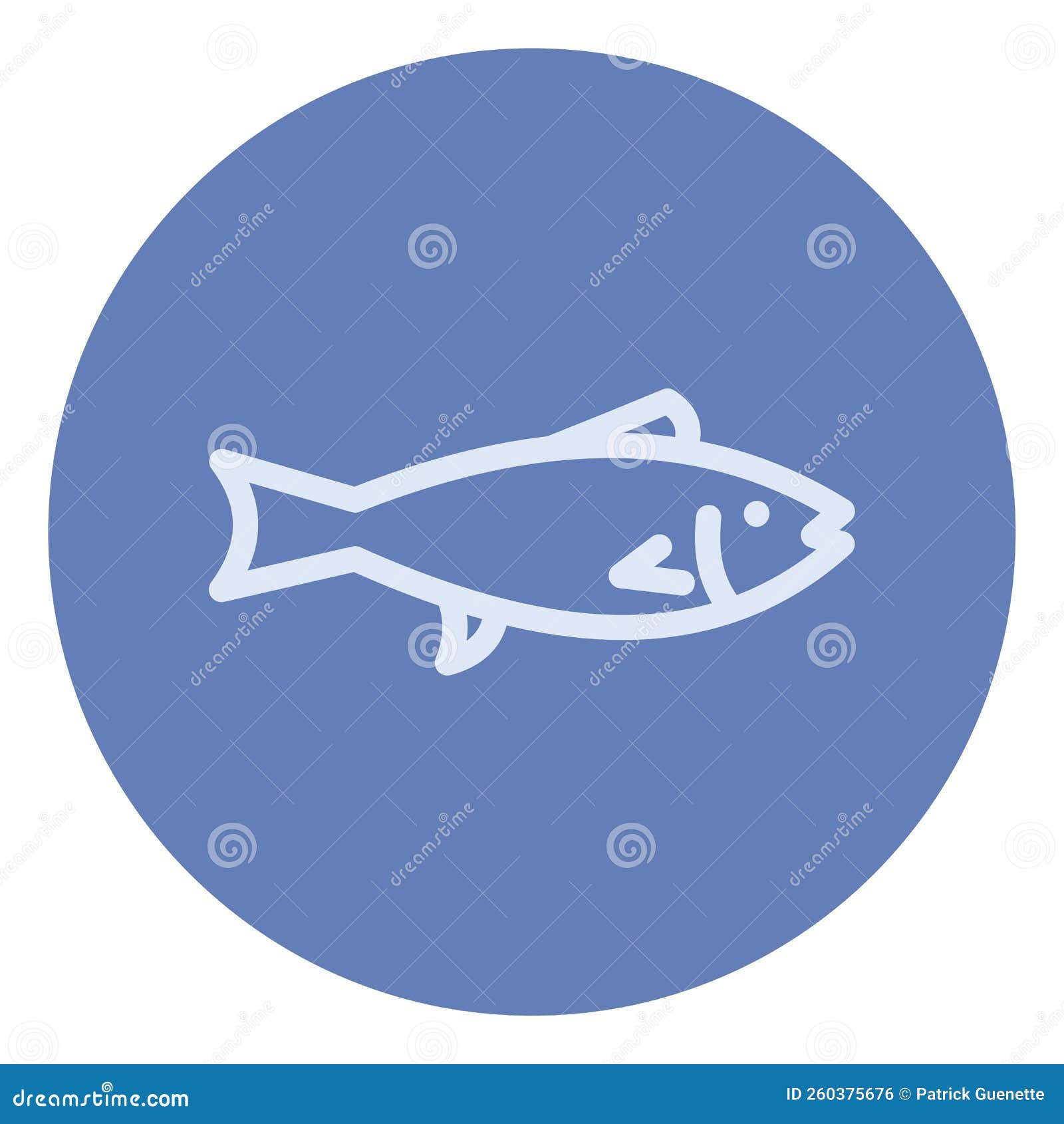 Bluefish. Black Hand Drawn Realistic Outline Vector Image ...