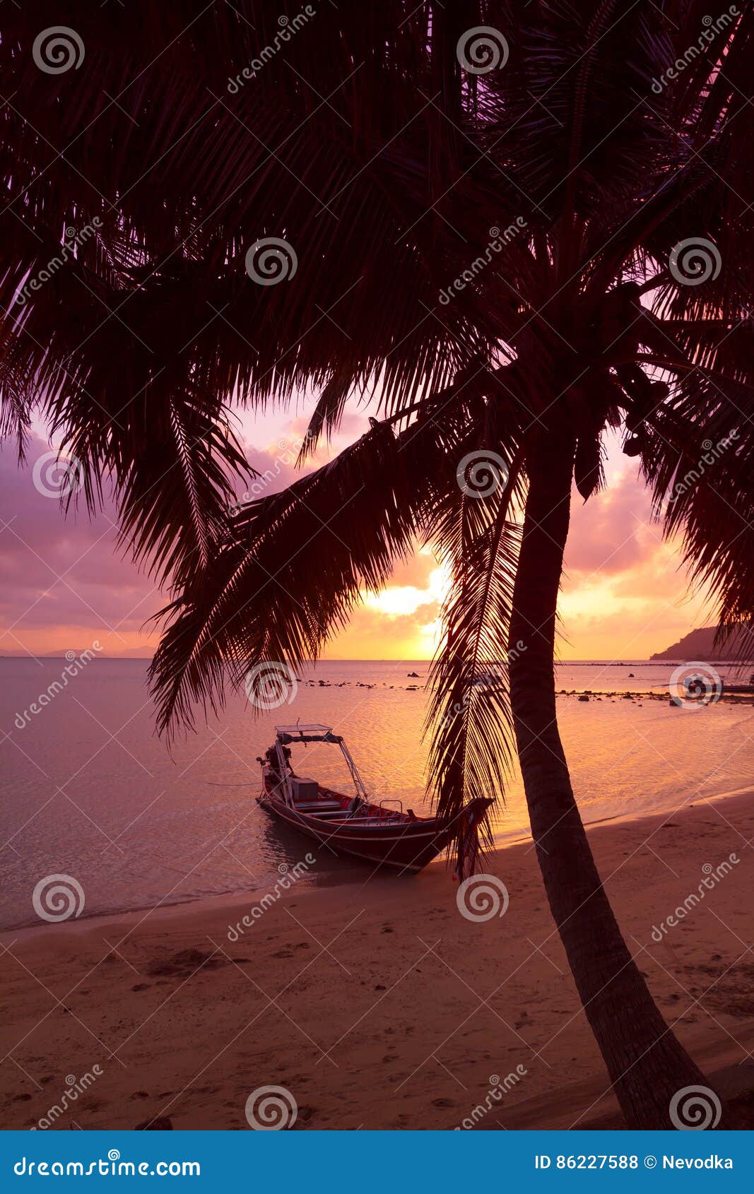 Small Boat Under the Palm Trees Stock Photo - Image of colorful ...