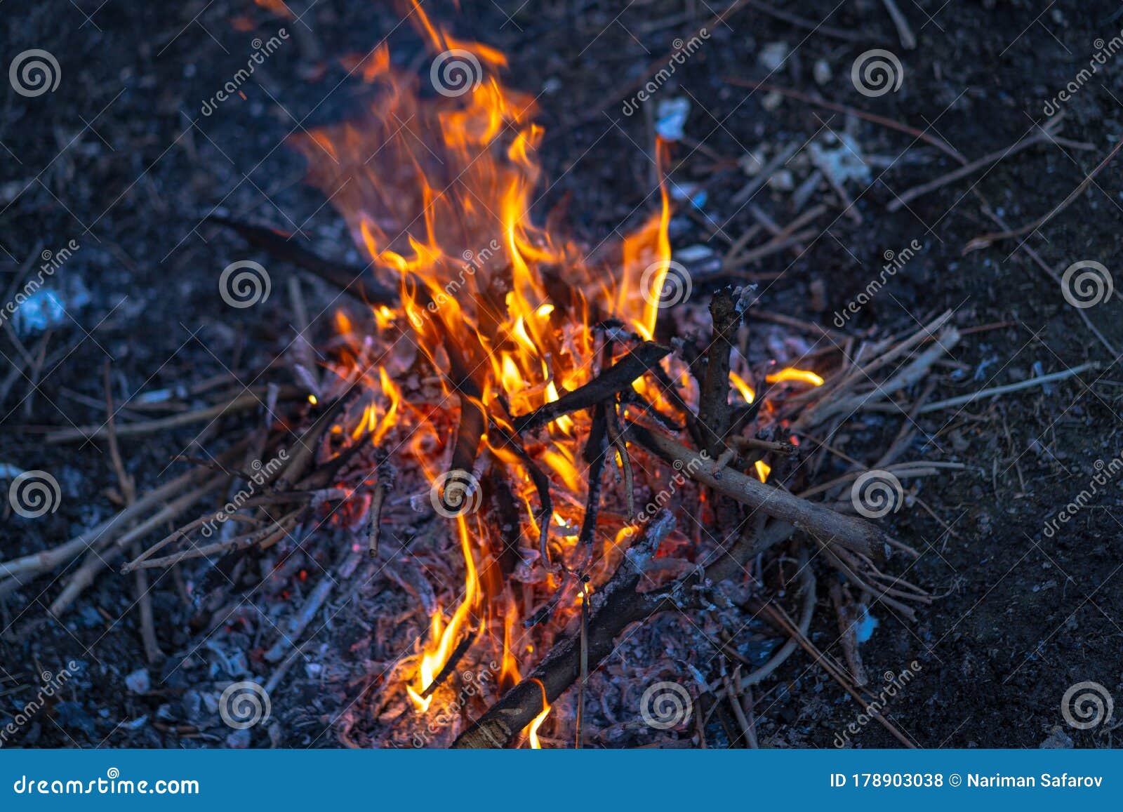 Small Bonfire with Fire Sticks and Ashes Stock Photo - Image of nature ...