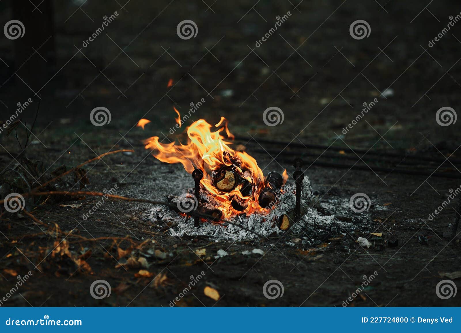 Small Bonfire in the Forest Late at Night Stock Photo - Image of fire ...