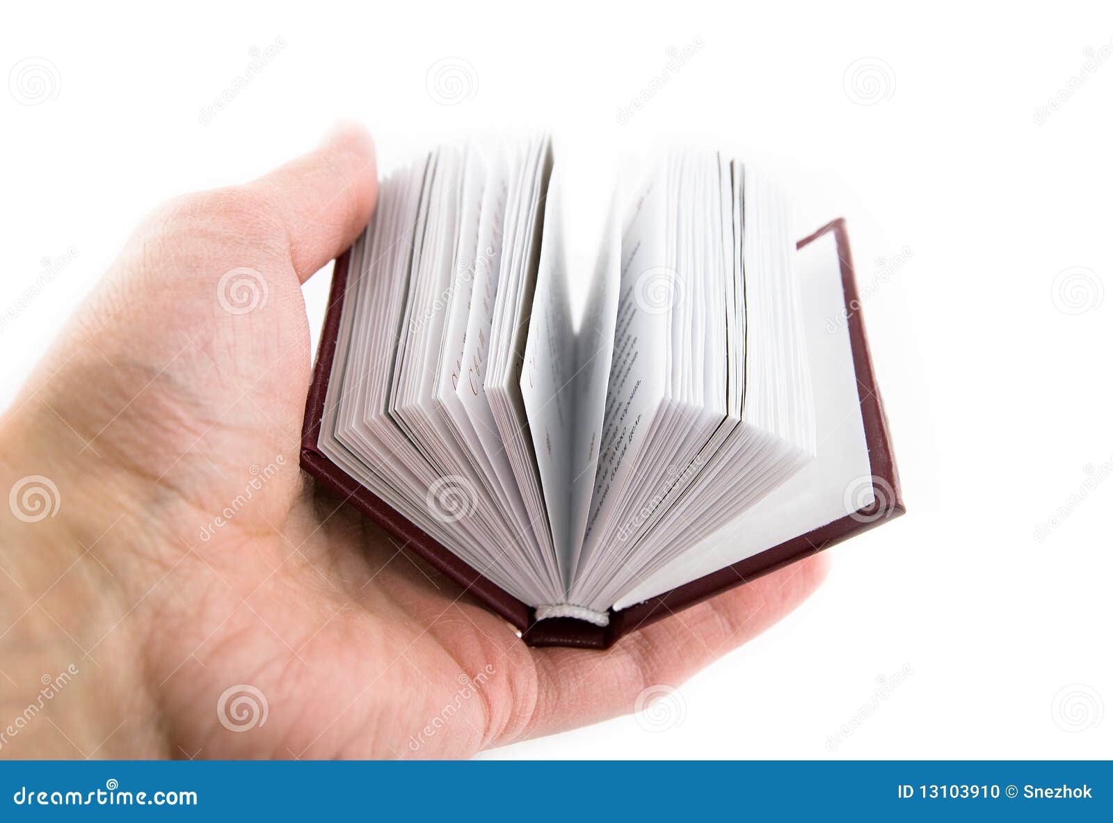 Small book in a hand stock photo. Image of volume, open - 13103910