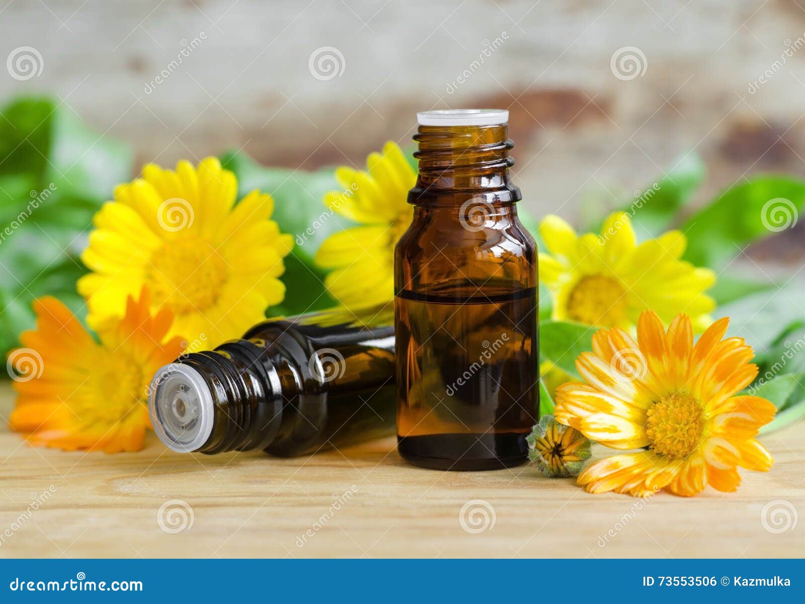 Small Bottles Of Tincture Of Field Horsetail. Herbal Tincture, Extract ...