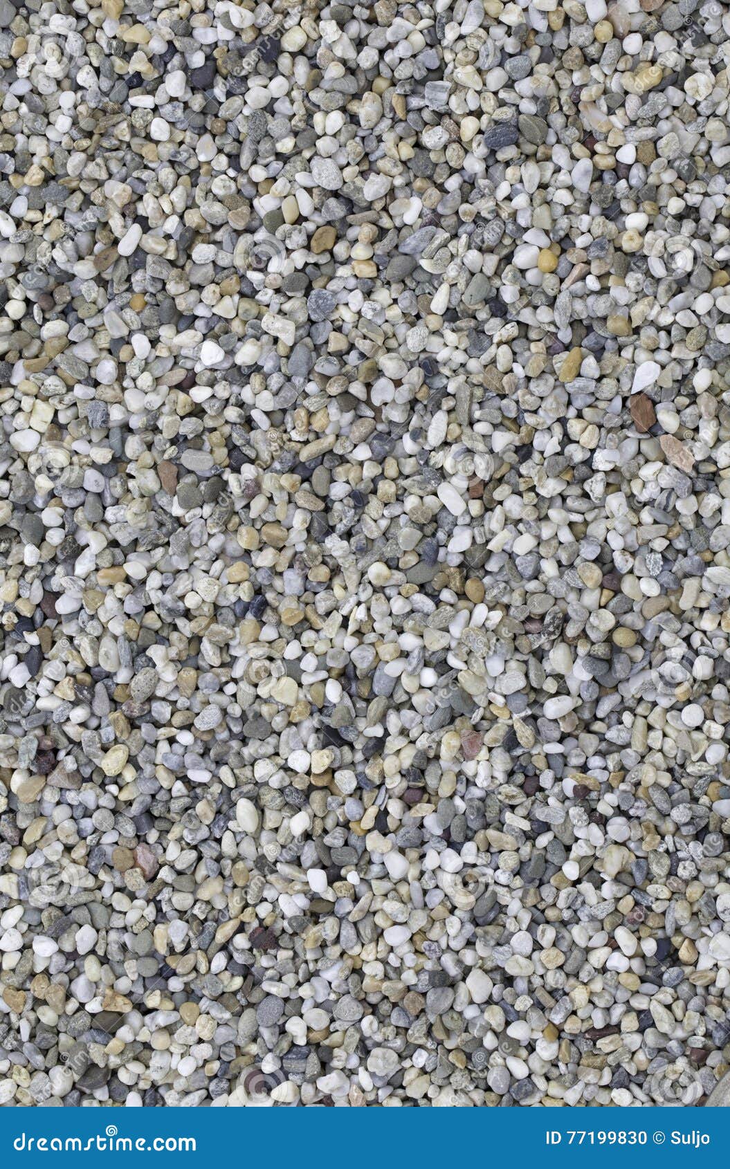 Decorative Pebblestone Pathway Royalty-Free Stock Photo | CartoonDealer ...