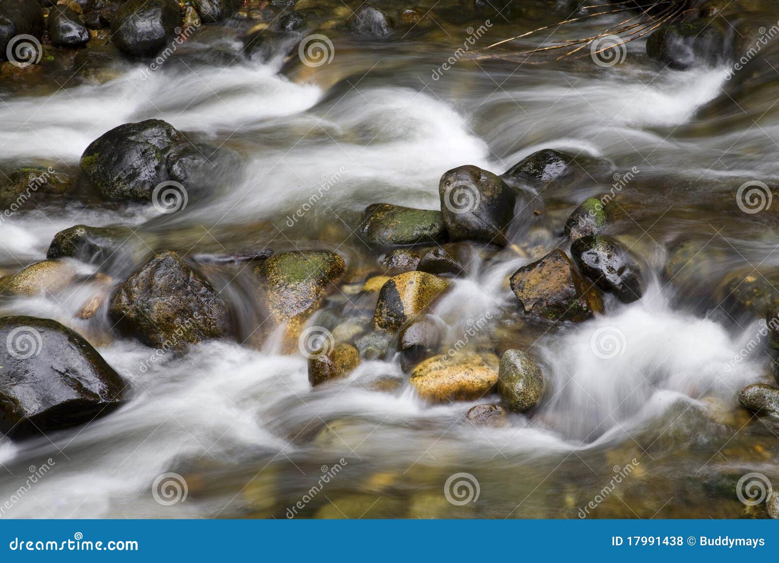 Small boulders in a creek stock photo. Image of flowing - 17991438