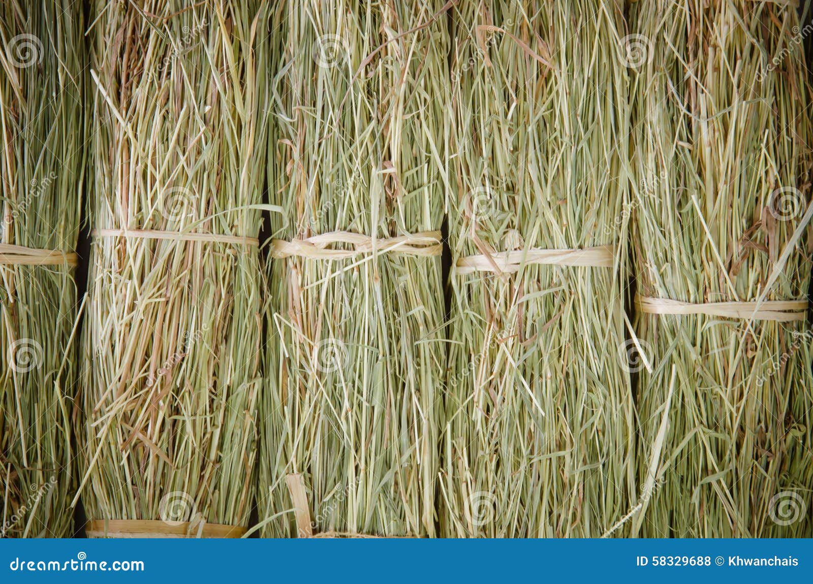 Small Bound Hay Bales or Haystacks Stock Photo - Image of harvest ...