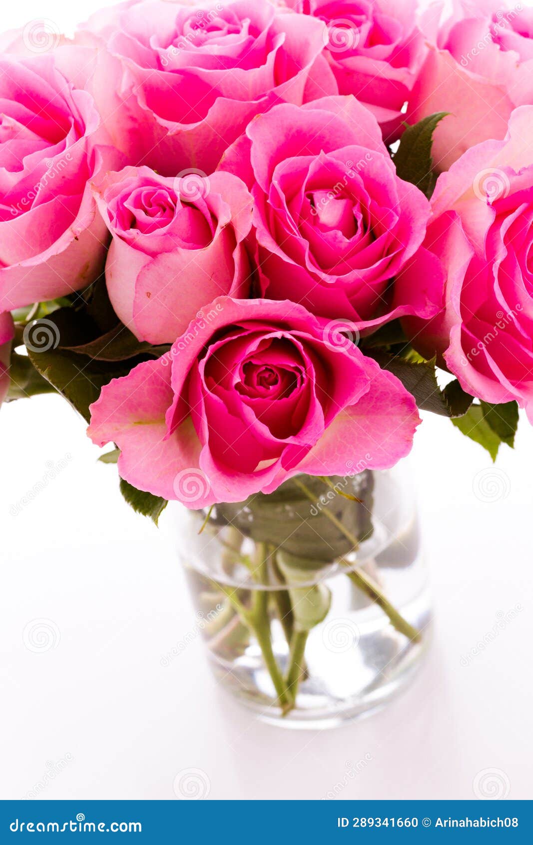 Pink roses stock photo. Image of small, bouquet, blooming - 289341660