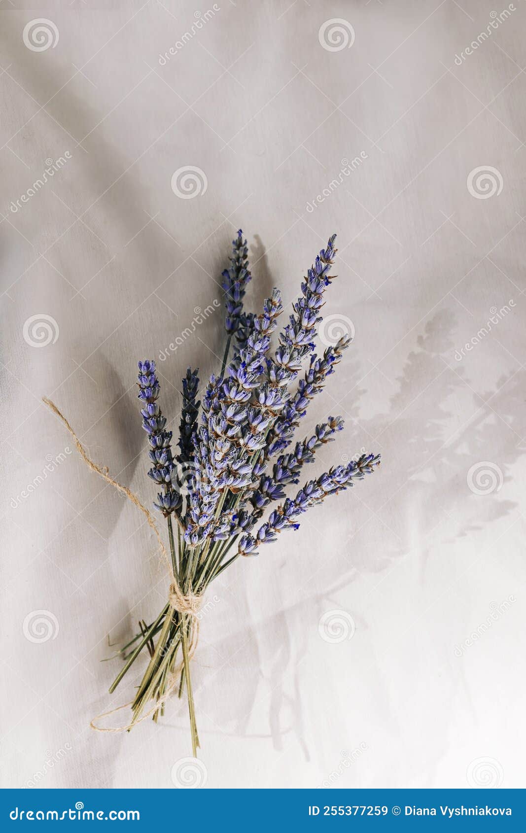 Small Bouquet of Lavender Flowers Stock Image - Image of leaf, flower ...